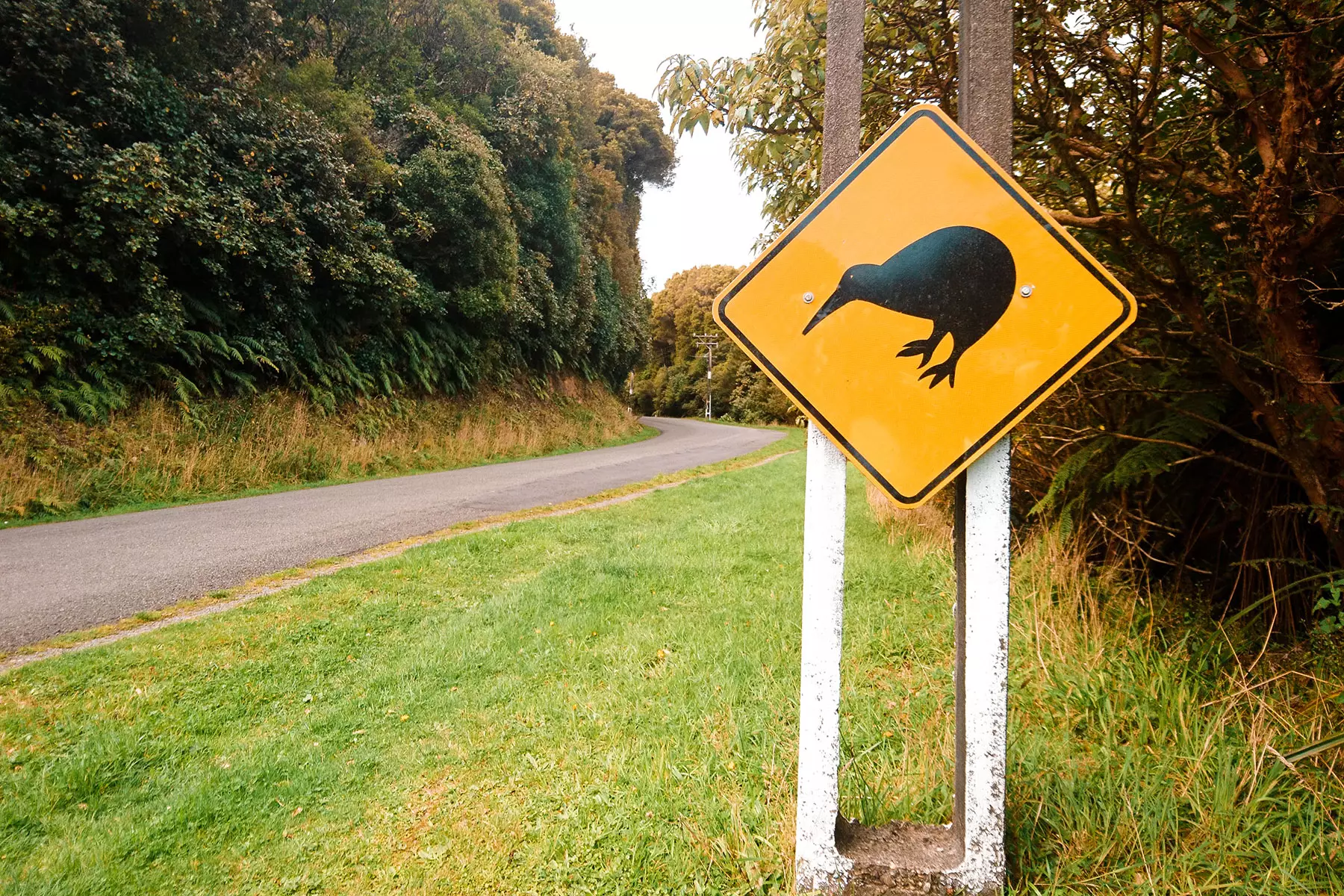 Yeni Zelanda, Stewart adasında bir kivi uyarı levhası