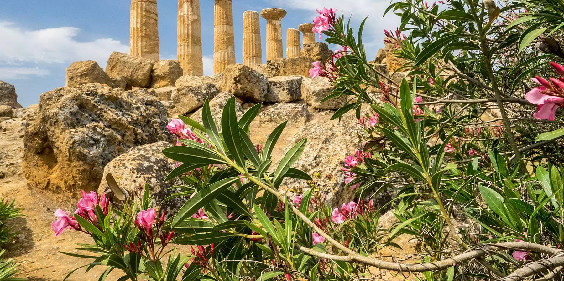 Mafuaaga e Asiasi ai i Sicily: Mea'ai, Uaina, Matafaga, Tala'aga, ma isi mea