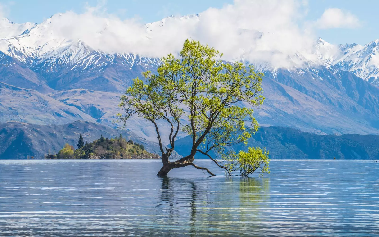 Lag Wanaka