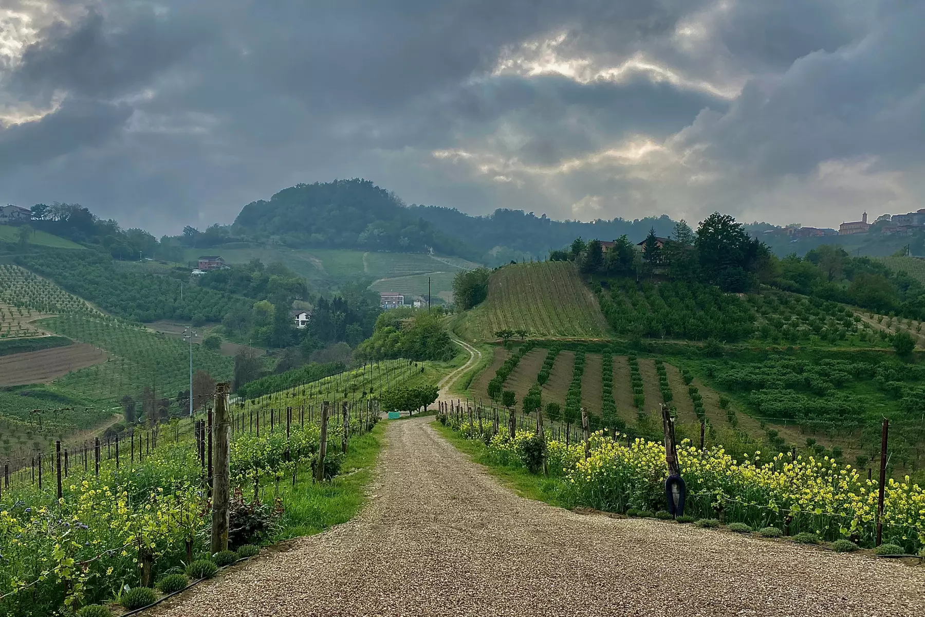 Bodegas del norte de Italia