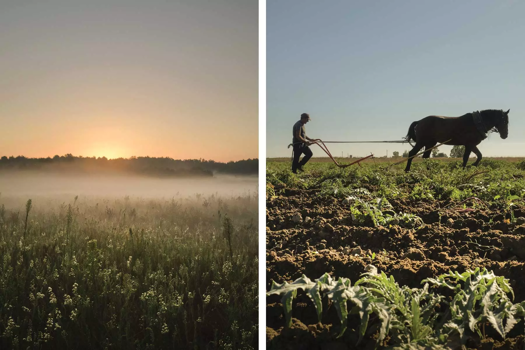 Két kép a gyönyörű ködös tájat és a földeken dolgozó farmert mutatja be