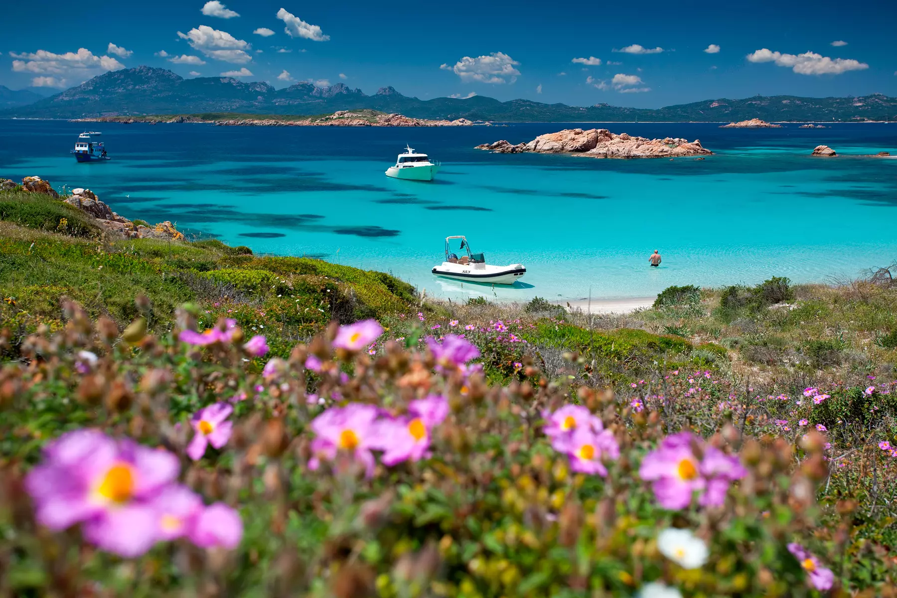 Isola di Mortorio sziget. Maddalena szigetcsoport Nemzeti Park. La Maddalena. Arzachena. Szardínia. Olaszország