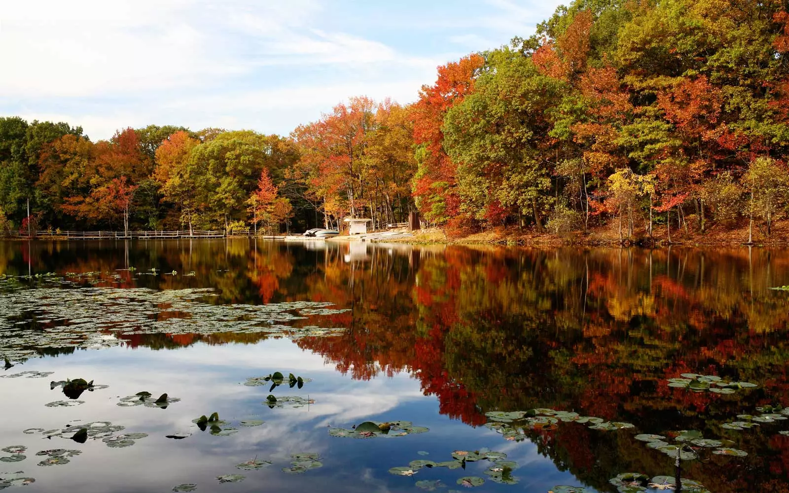 Fararano ao amin'ny Staten Island Greenbelt, New York