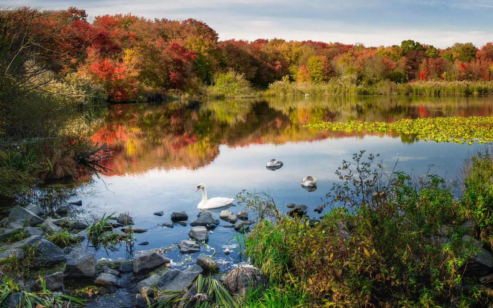 Fall Colors ao amin'ny Massapequa Preserve, Long Island, New York