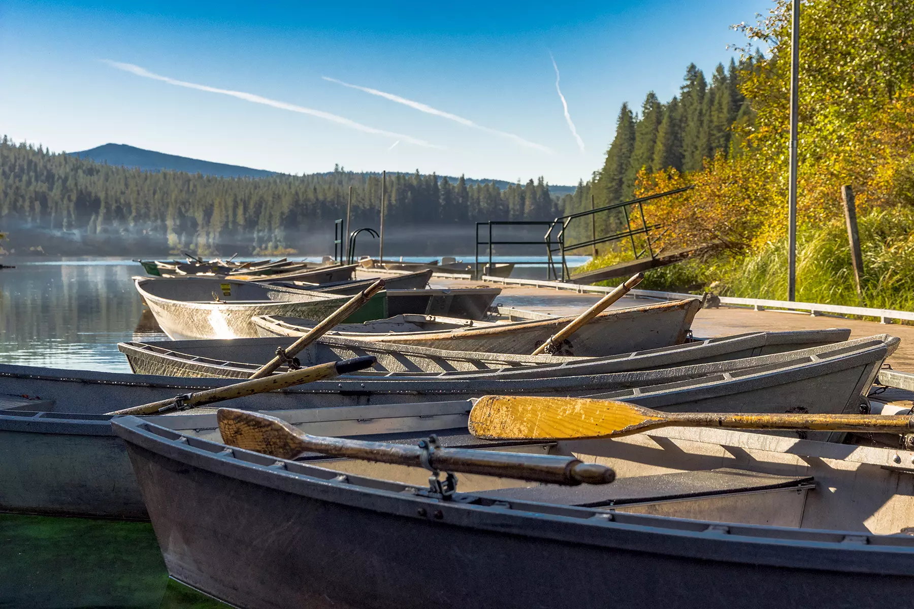 Igi Rowboats ni Dock lori Clear Lake Arabinrin Oregon