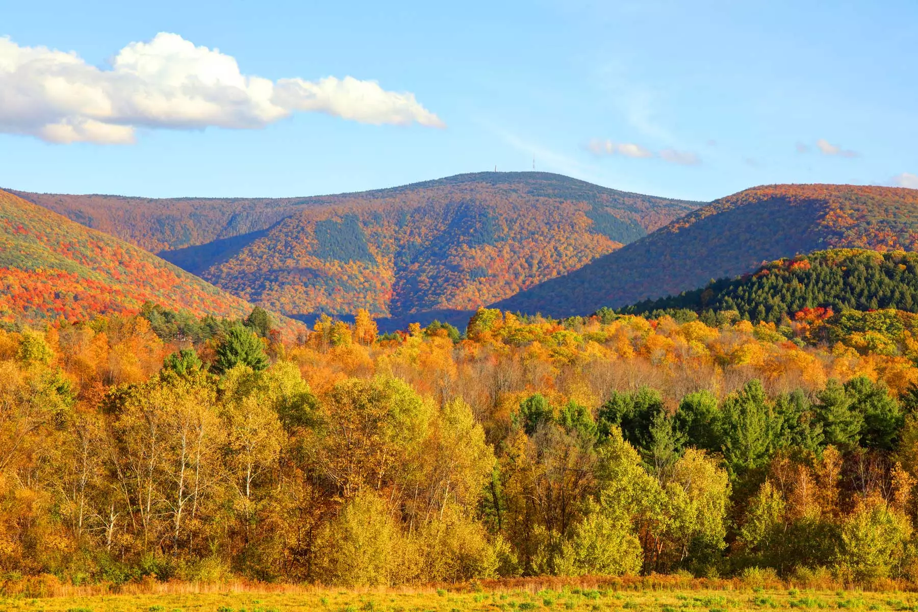 Muntele Greylock este un munte de 3.489 de picioare situat în colțul de nord-vest al Massachusetts și este cel mai înalt punct din stat.