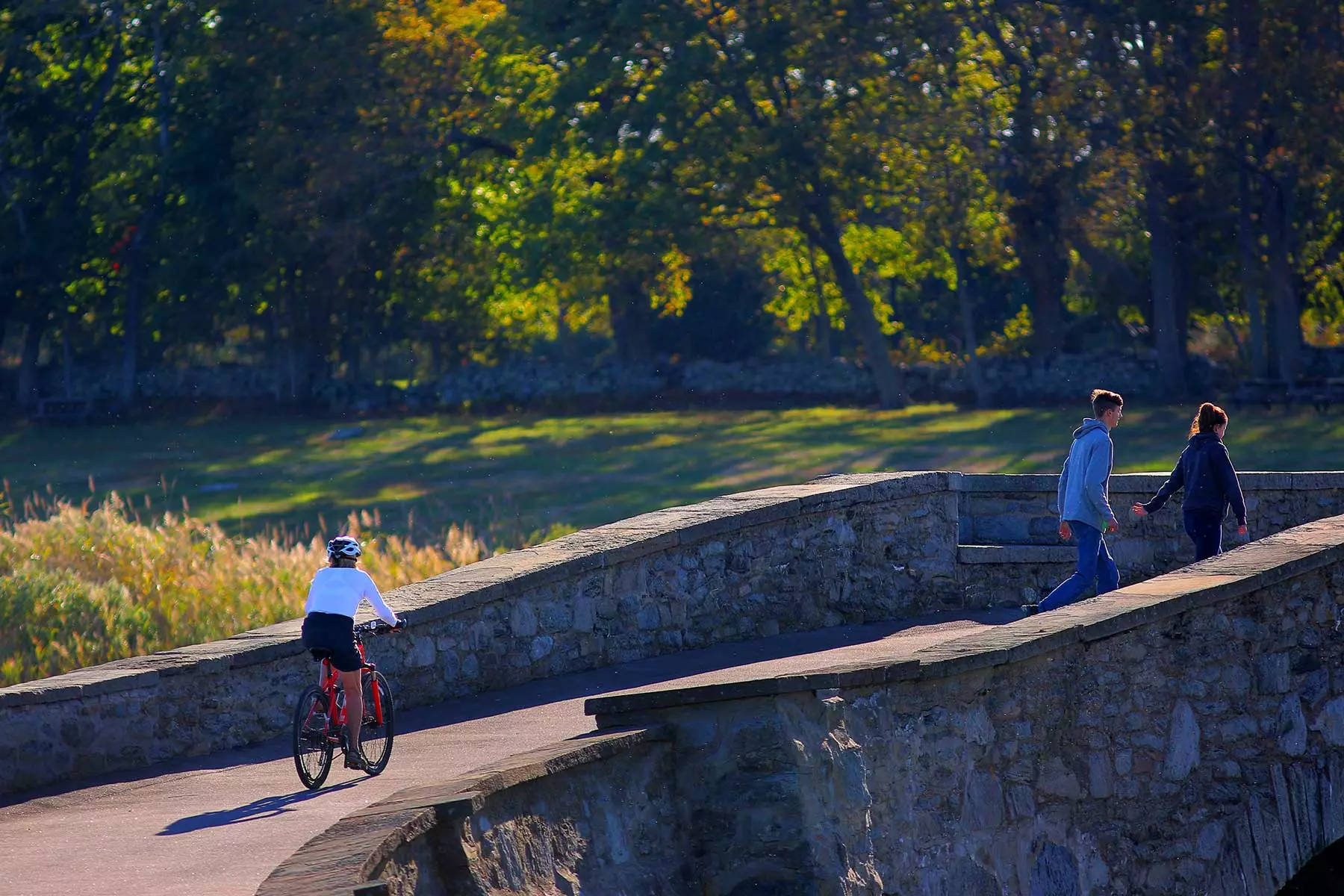 Parkeko bisitariek Mill Gut itsaskiak kudeatzeko eremuaren gaineko zubi txiki bat zeharkatzen dute Bristol-eko Colt State Park-en, Rhode Island