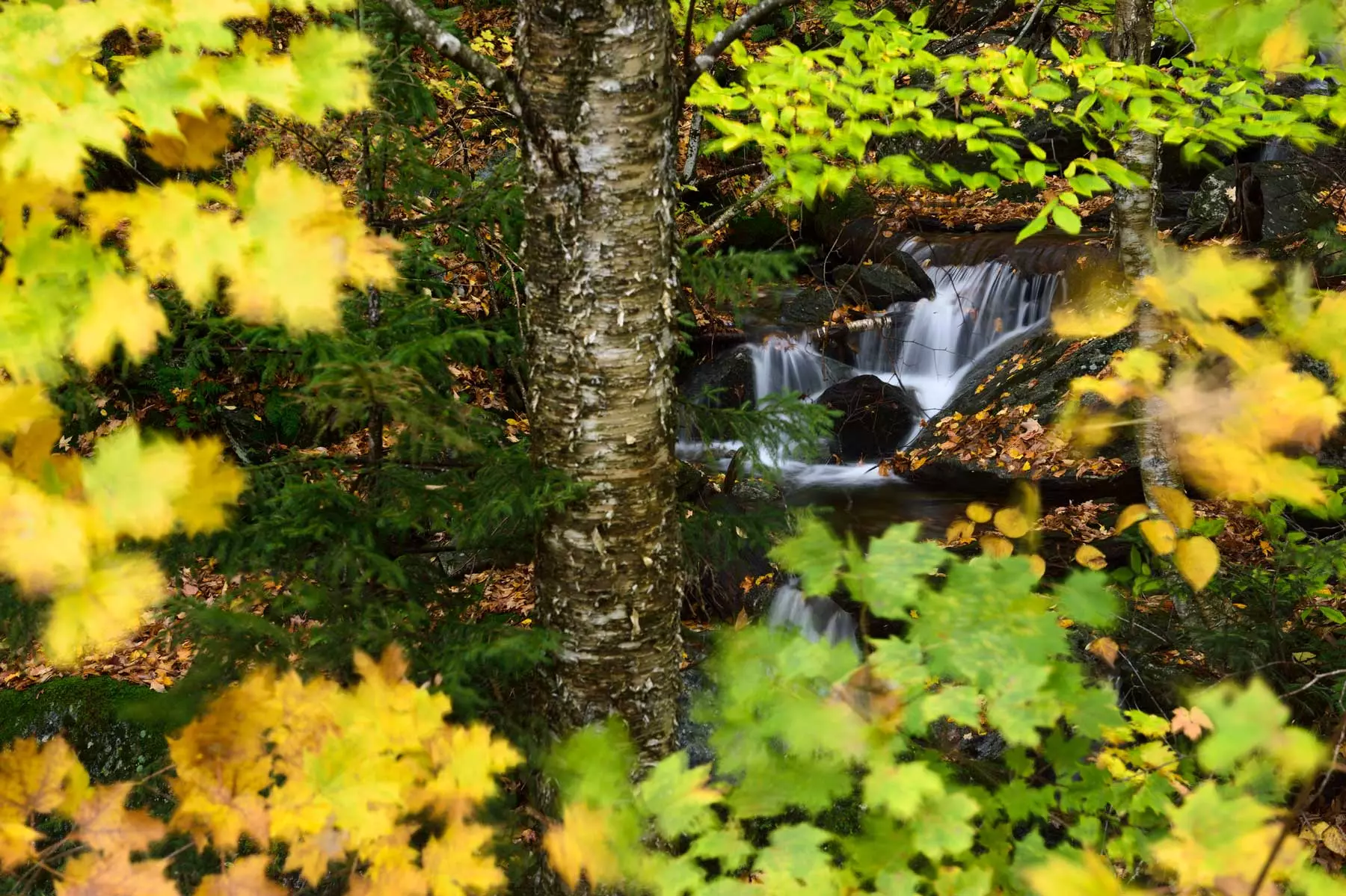 Errepide bihurgunetsua Smugglers Notch State Park Vermont-eko harrietan zehar