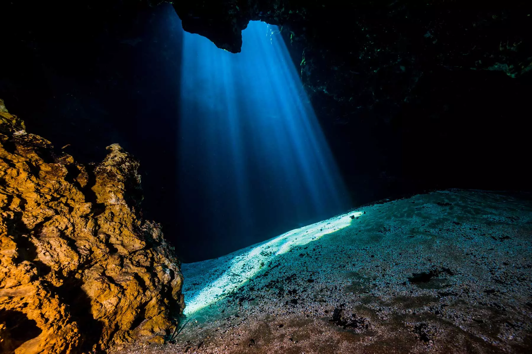 Florida හි Ichetucknee Springs State Park, Jug Hole හරහා ආලෝකය පෙරහන්.