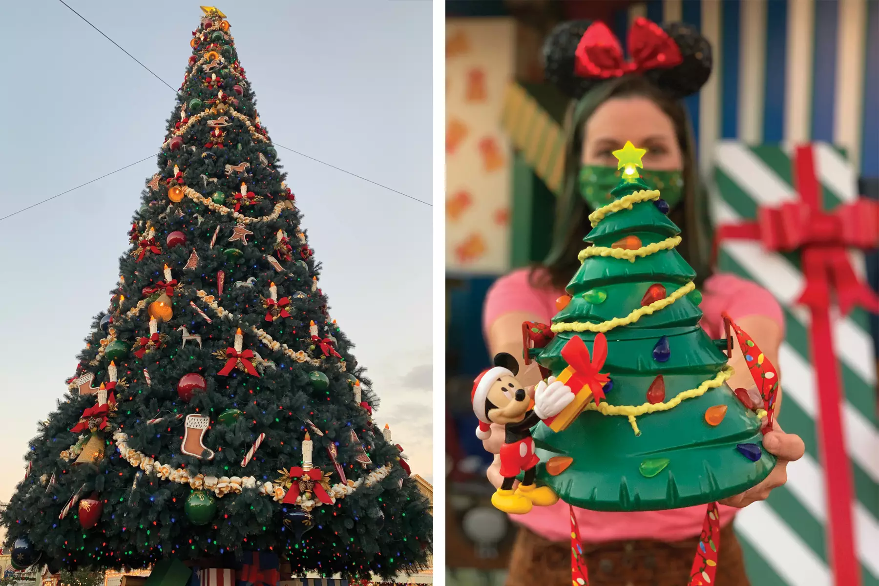 Il Regno Magico di Disney World decorato per le festività. Scrittore che tiene il porta popcorn dell'albero di Natale di Topolino