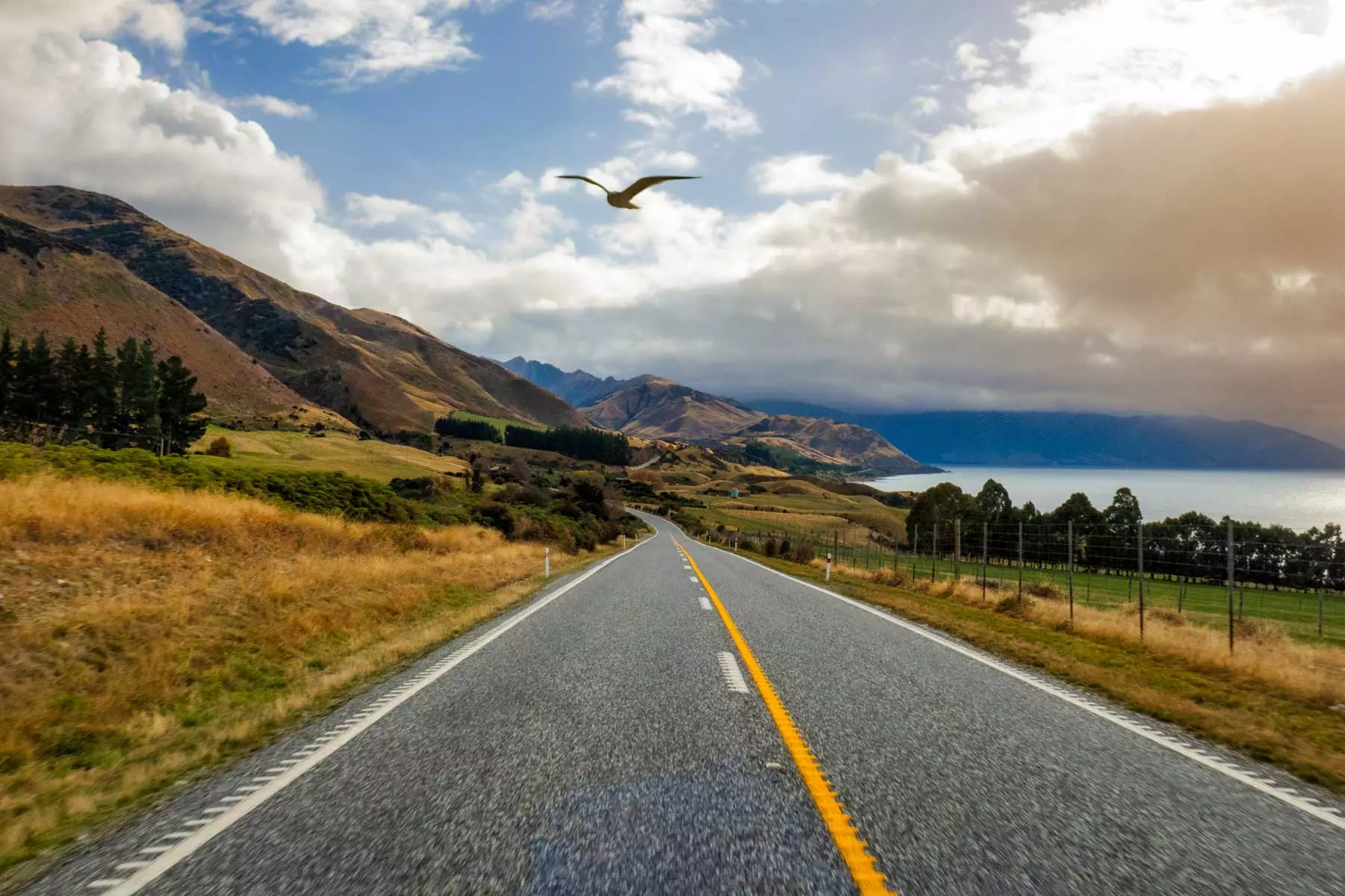 Strada vuota via mare contro il cielo mentre l'uccello vola sopra, il lago Hawea, Otago, Nuova Zelanda