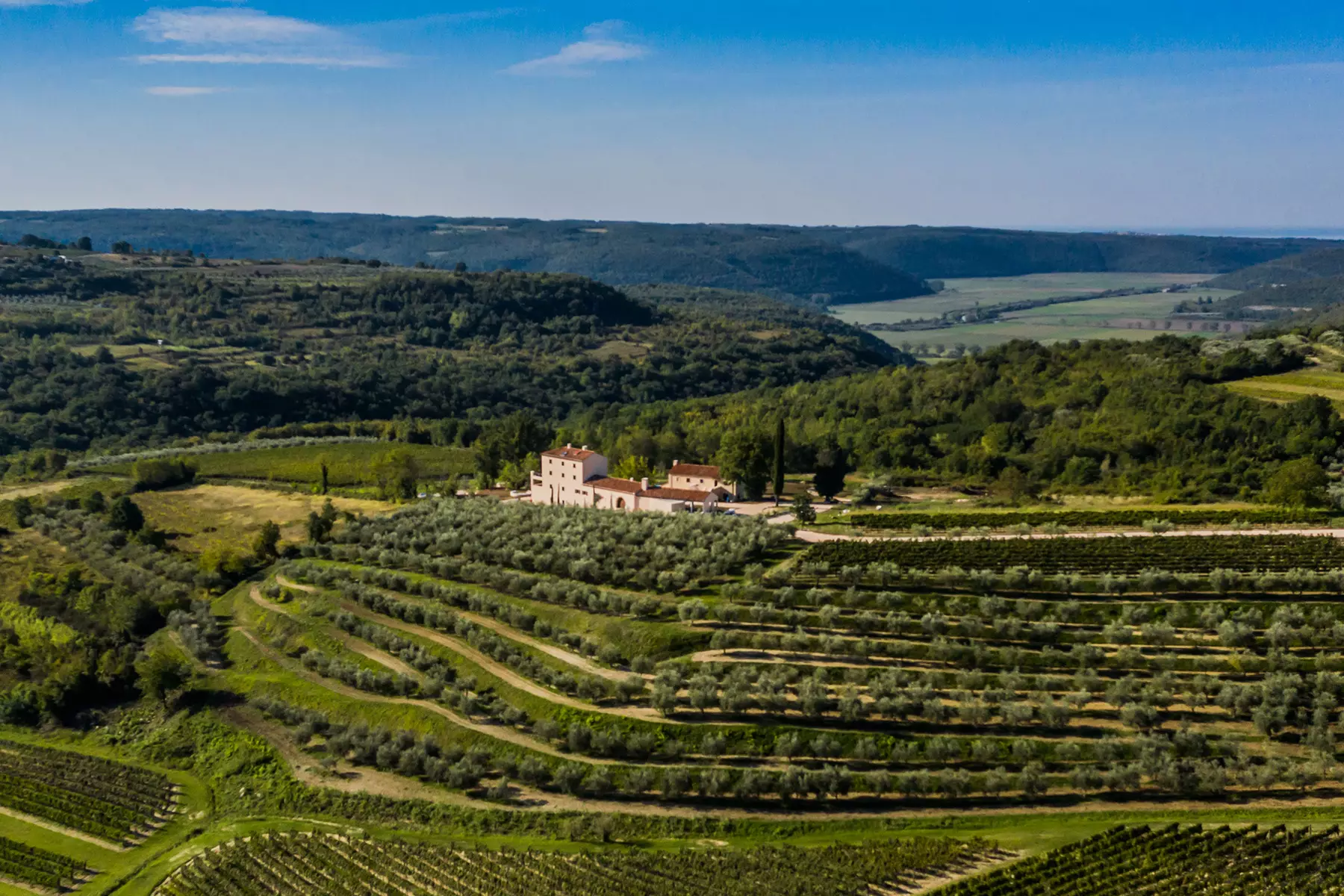 Vista aérea de Villa Stancija Baracija en Croacia