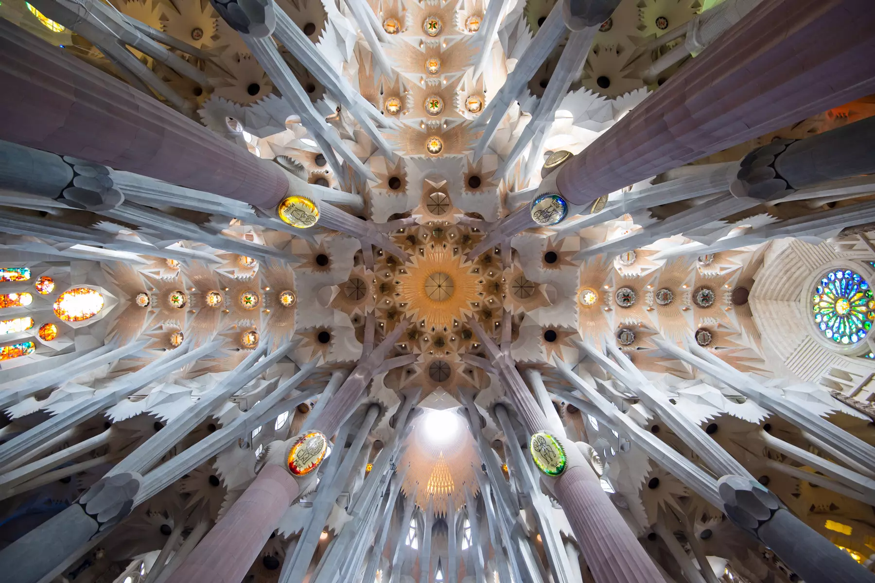 Imagine orizontală a tavanului Catedralei Sagrada Familia cu un design arhitectural frumos și lumină uimitoare din Barcelona, Spania.