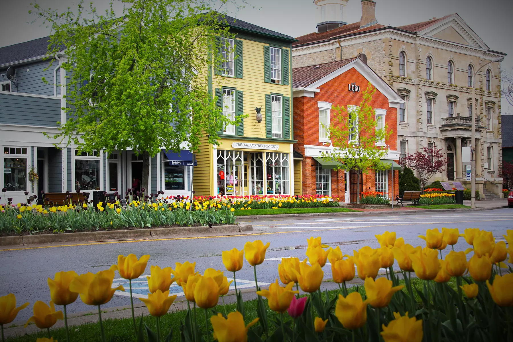 Mga bulaklak sa bayan ng Niagara-on-the-Lake, Ontario