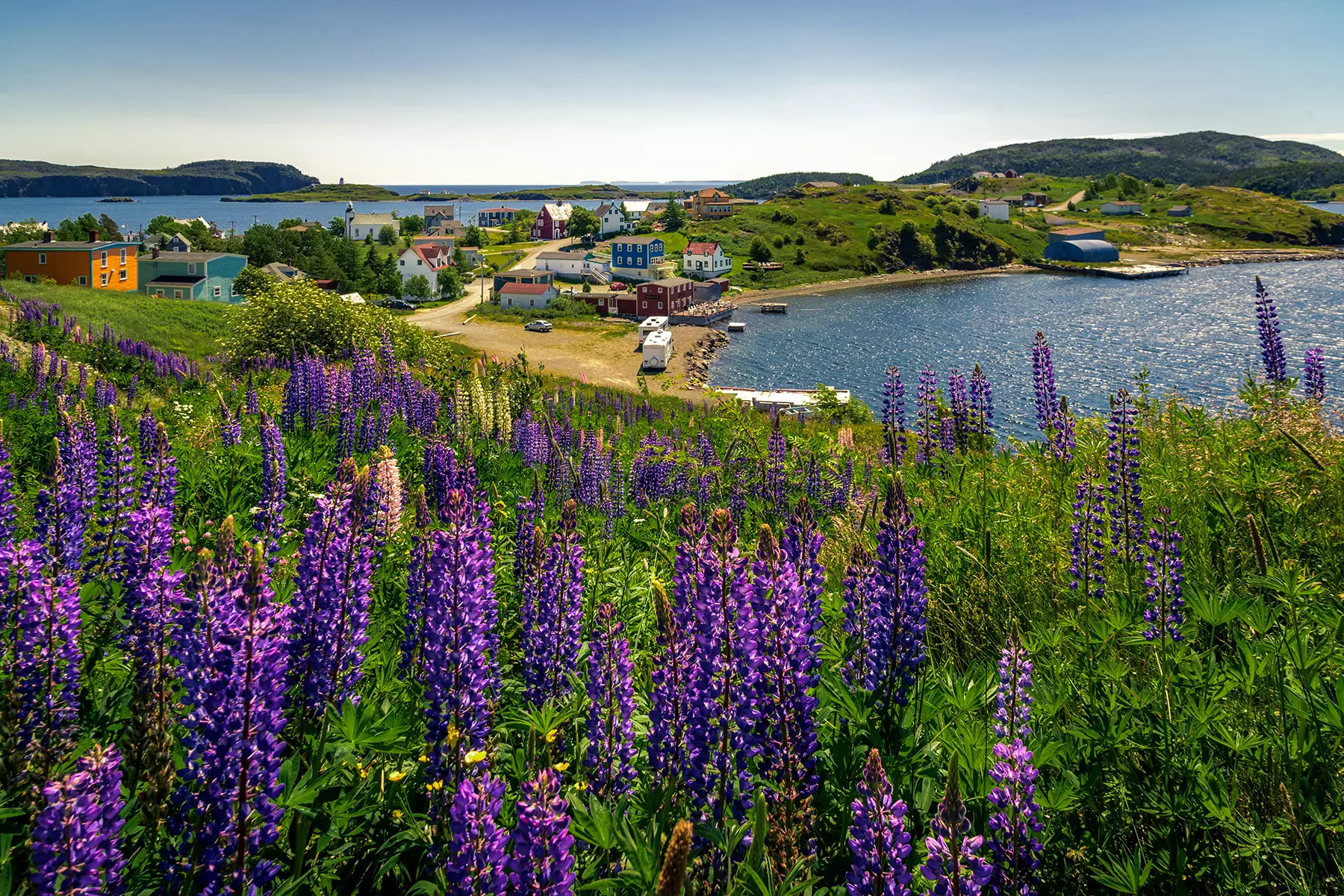 Mtazamo wa angani wa Trinity Bay, Newfoundland