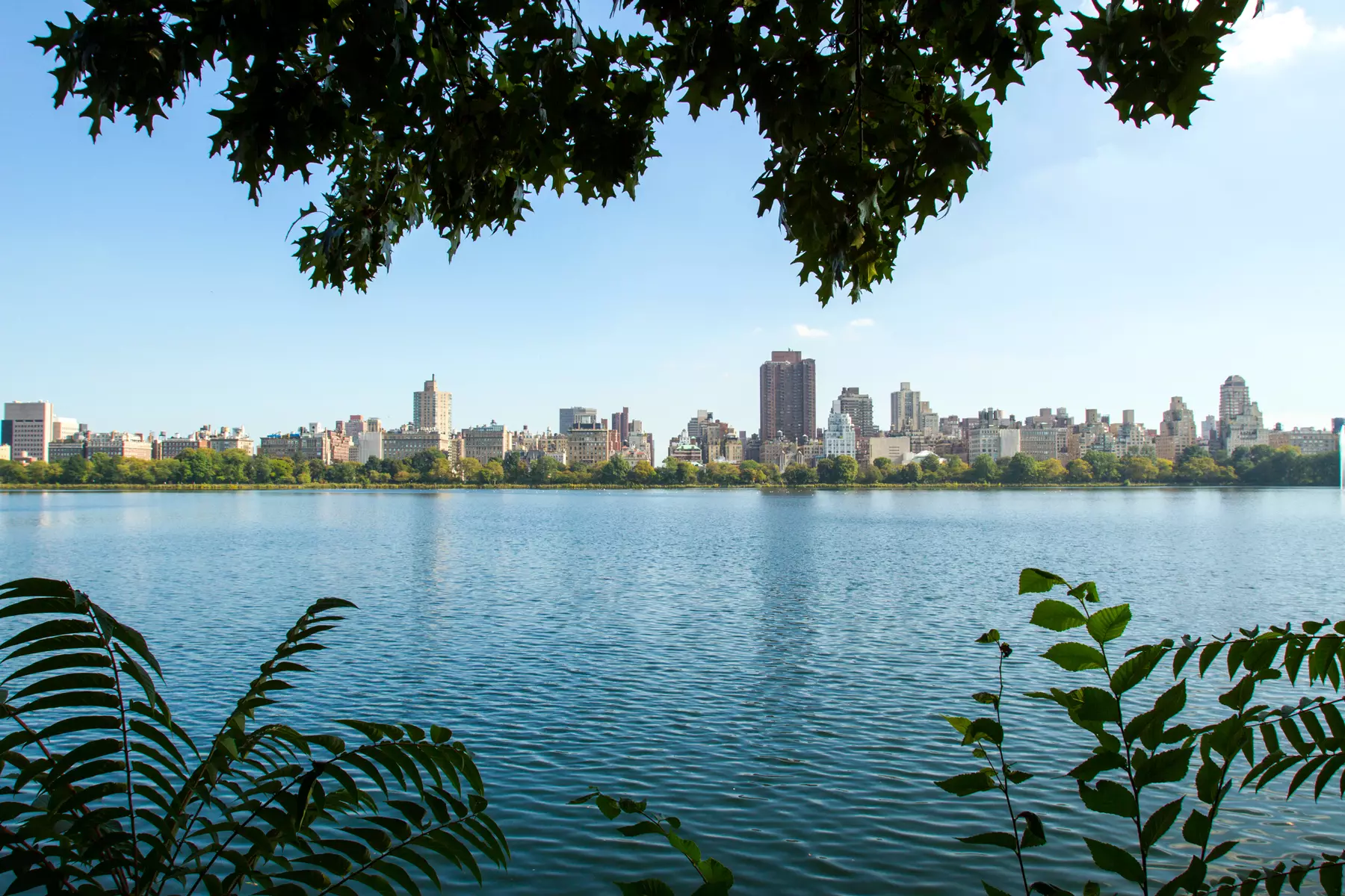 Ndërtesat nga Jacqueline Kennedy Onassis Reservoir në qytetin e Nju Jorkut