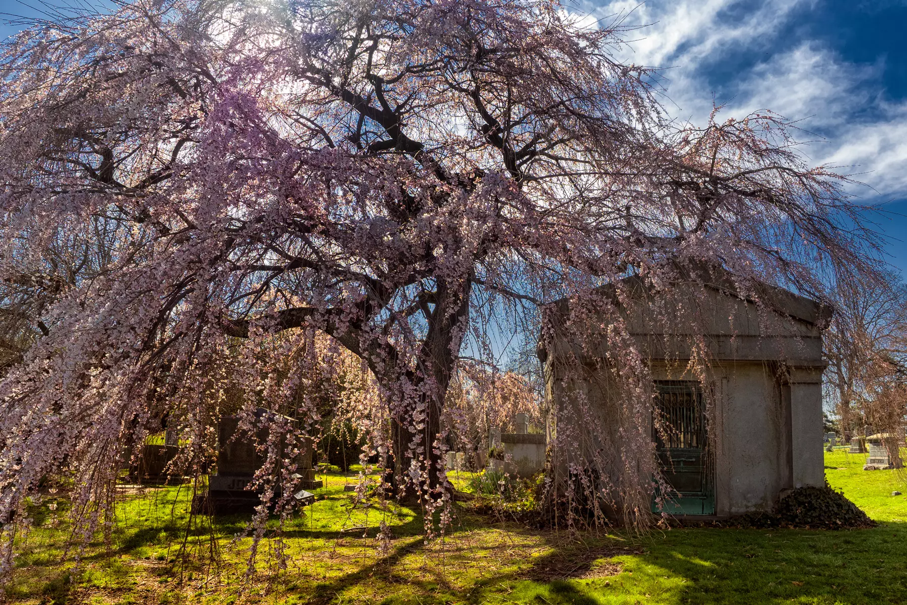 Tomba nel cimitero di Green-wood a Brooklyn