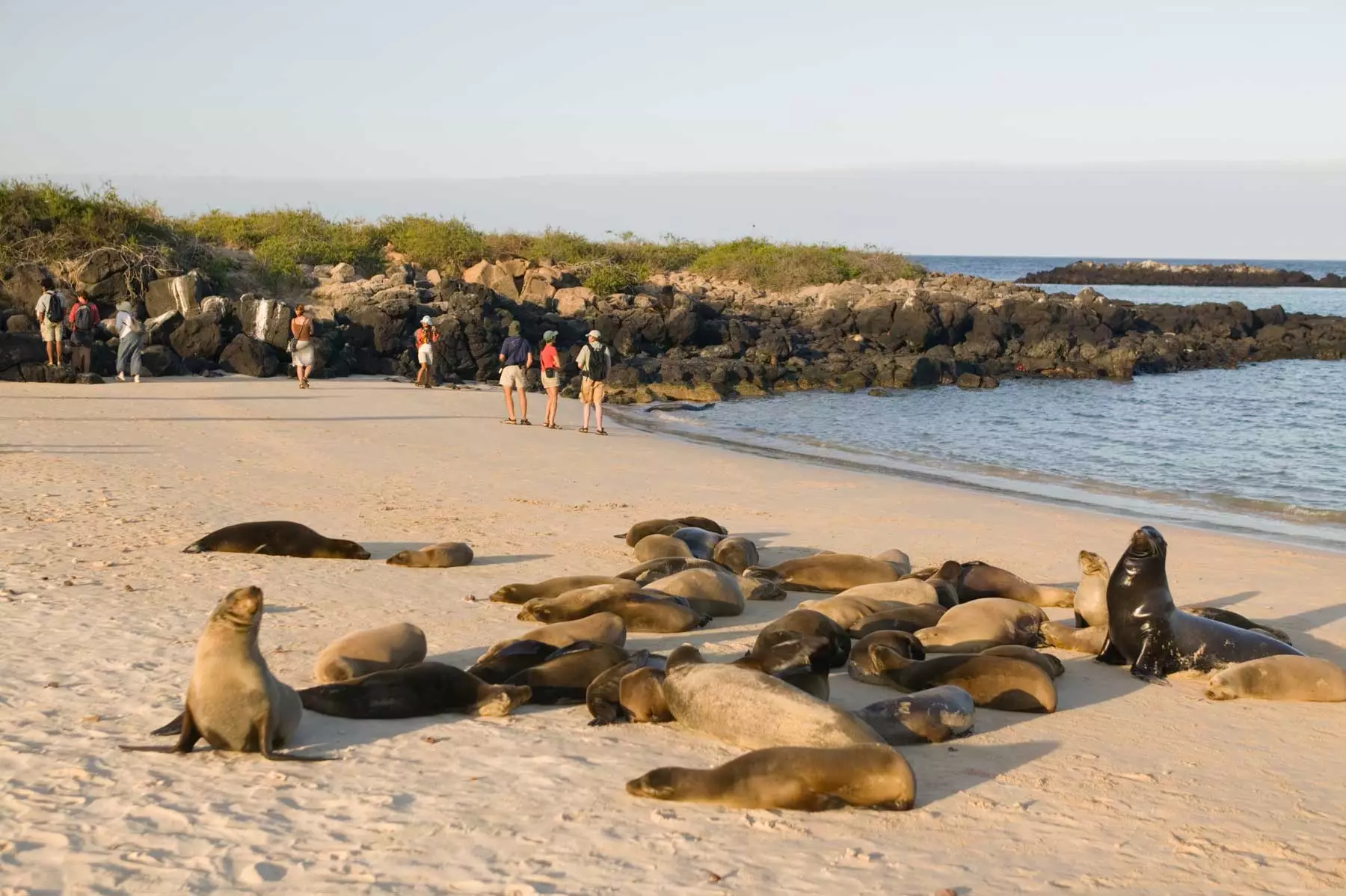 Mga dapit nga gitawag Galápagos Islands sa Ecuador