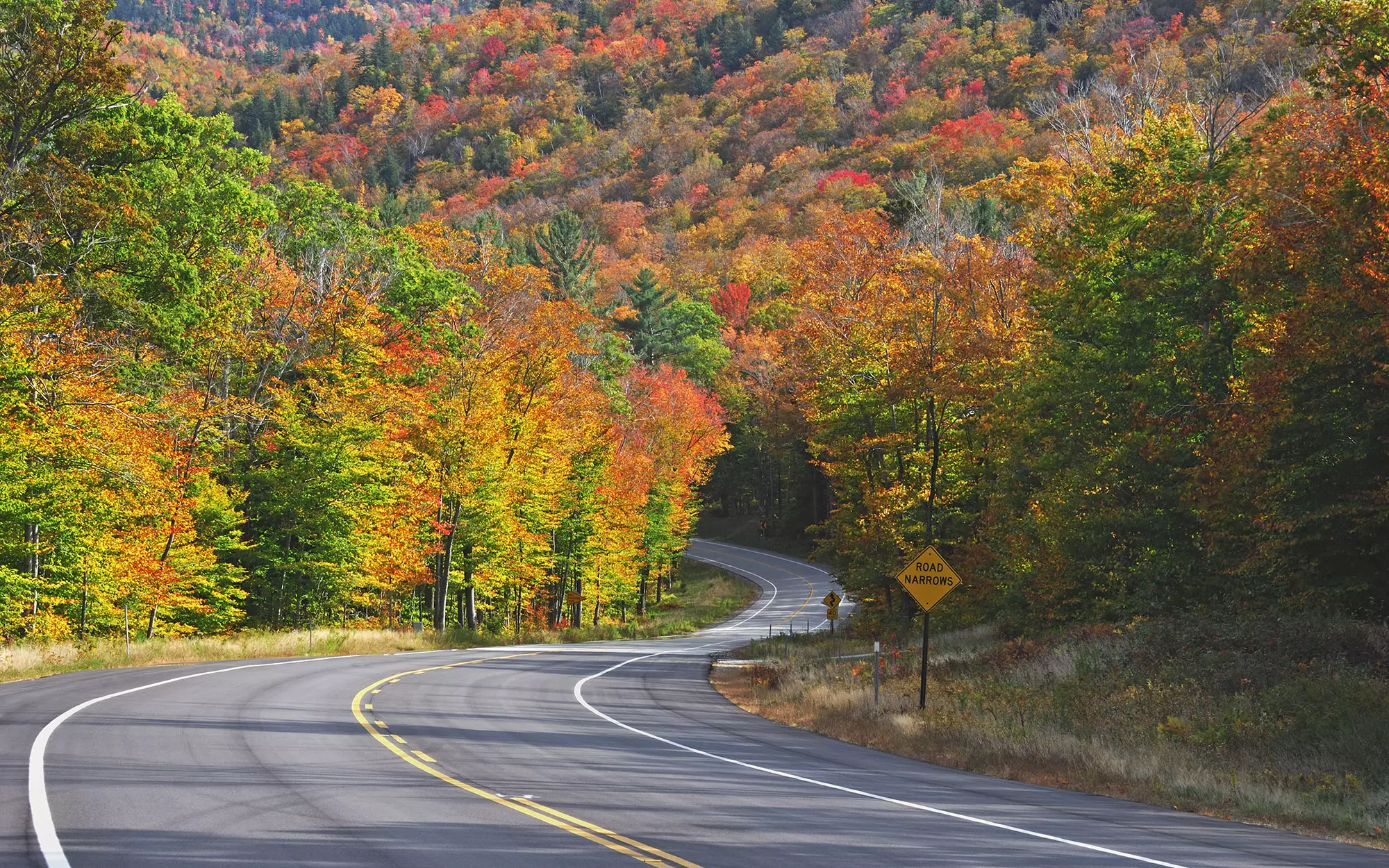 New Hampshire၊ Kancamagus အဝေးပြေးလမ်းမကြီးရှိ သစ်ရွက်များကြွေကျခြင်း။