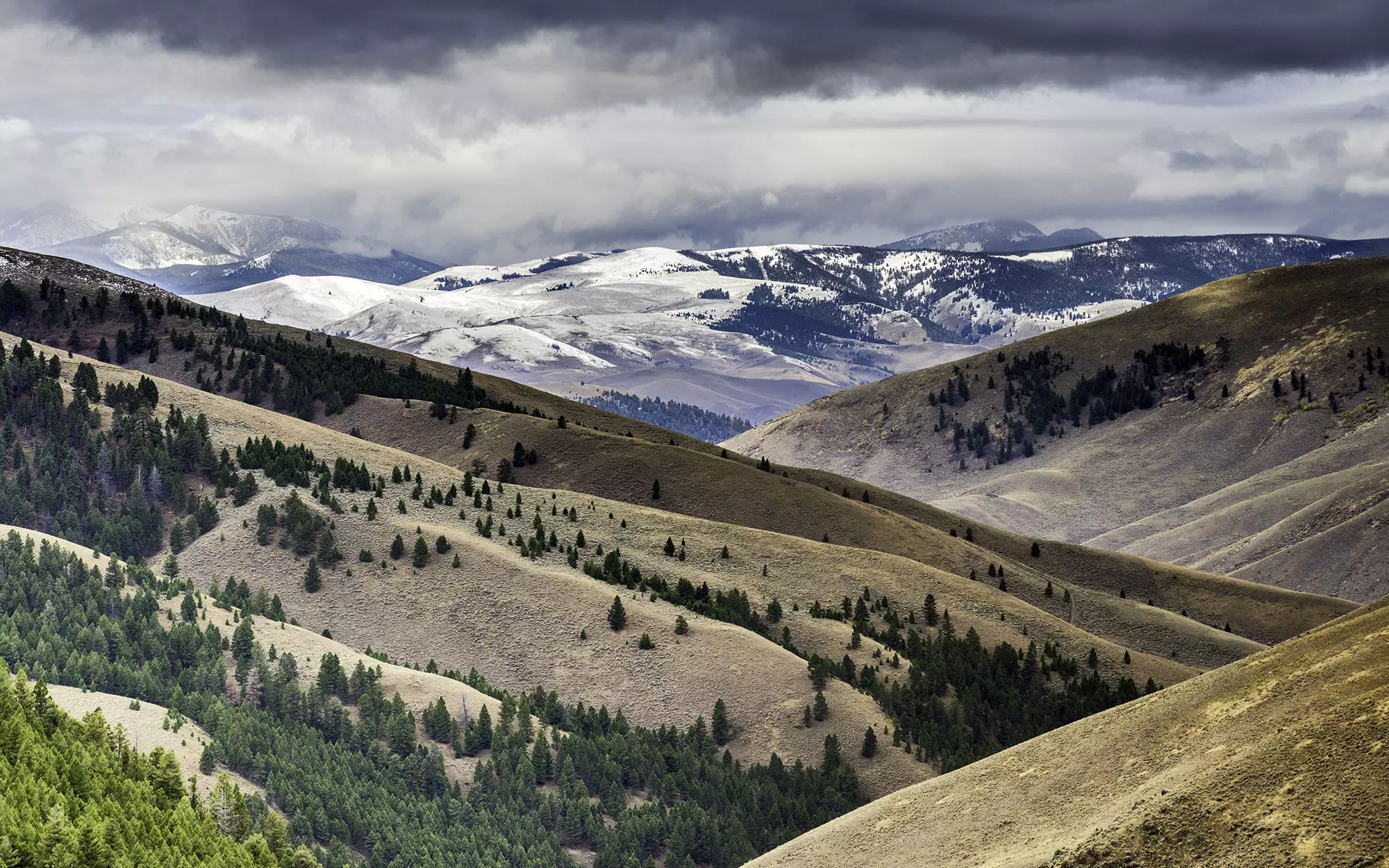 Lemhi Pass