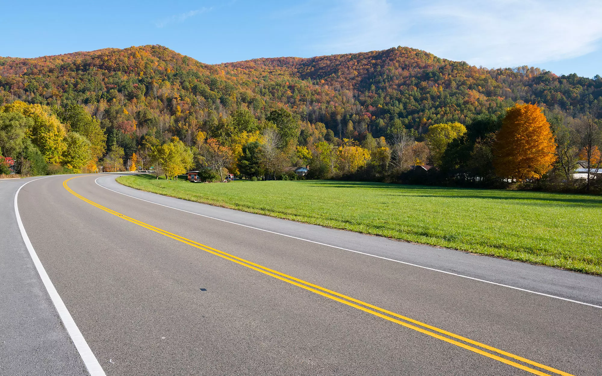 tavaszi virágok a festői hegyen, Tennessee