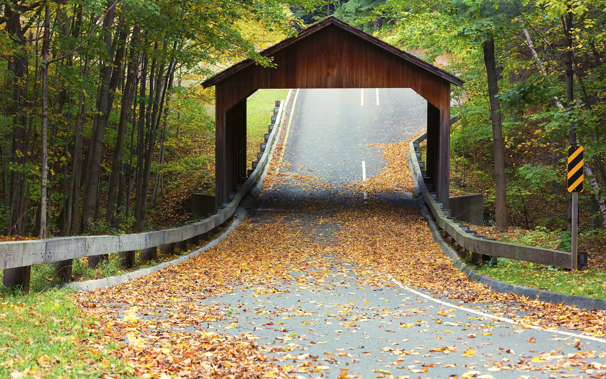 Perforare Stocking Scenic Drive lungo le dune di sabbia, Michigan