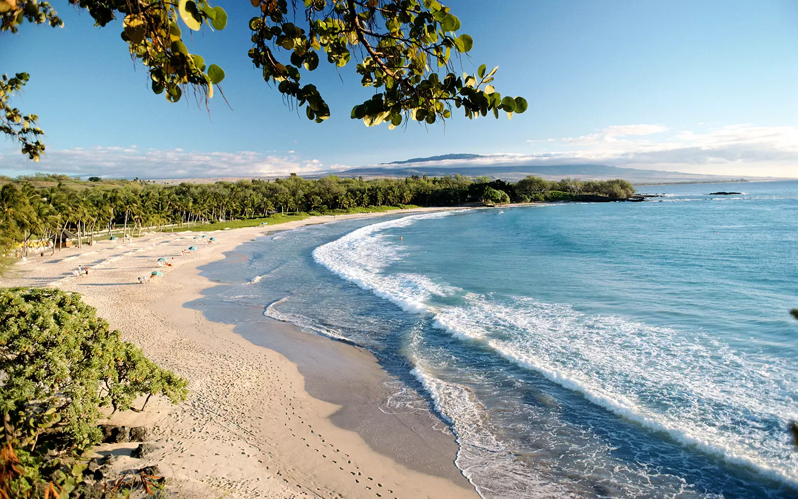 BigIsle, Kaunaoa Bay, Mauna Kea Beach ohun asegbeyin ti, umbrellas pẹlú shoreline