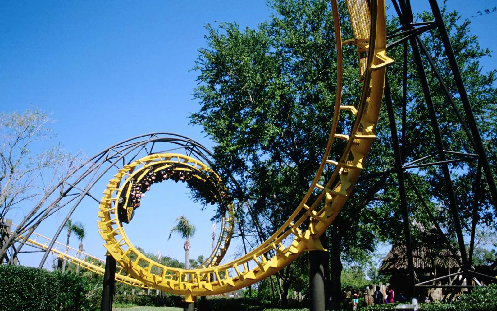 Una spirale di montagne russe gialle regala ai motociclisti un brivido al parco divertimenti e faunistico di Busch Gardens a Tampa, in Florida