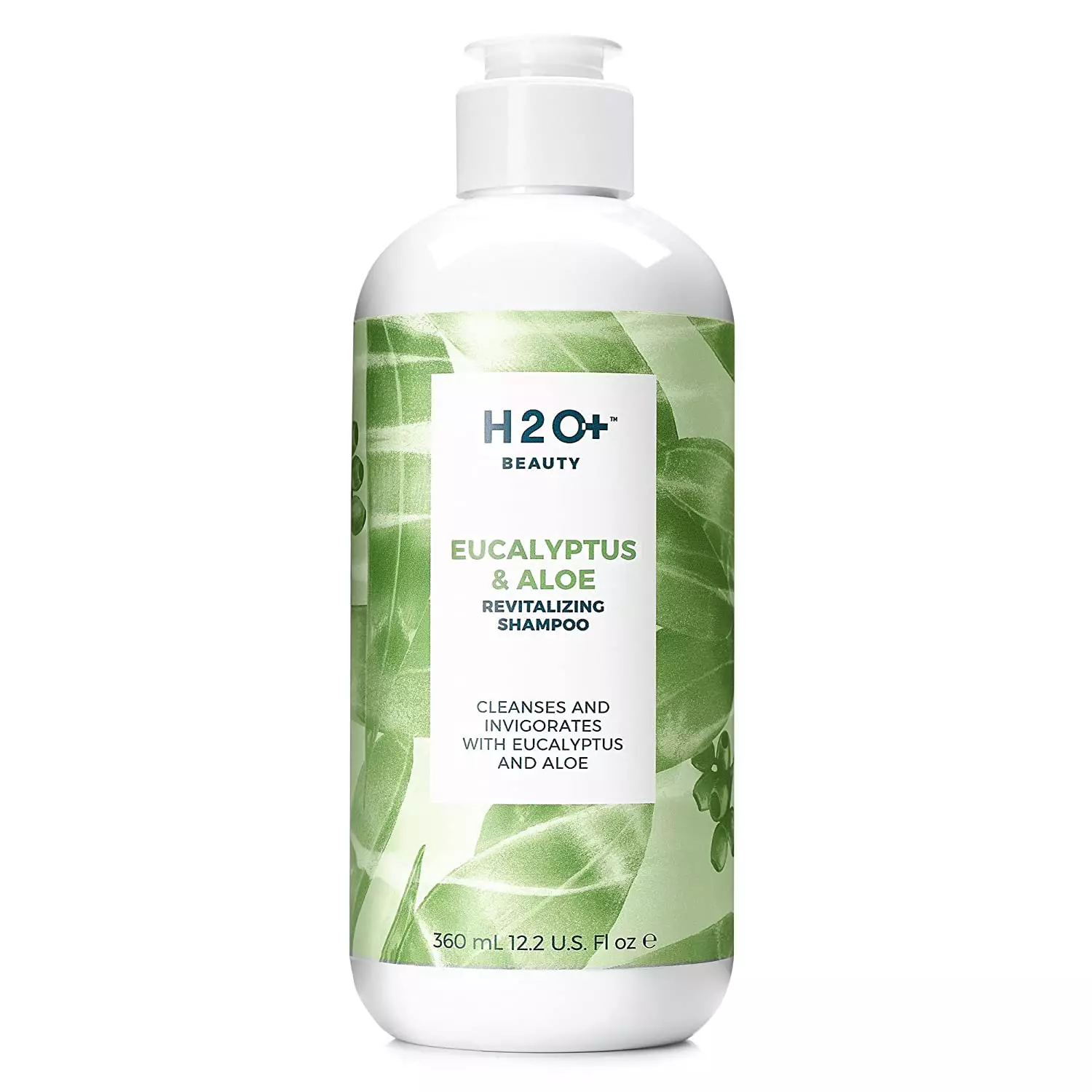 eucalyptus shampoo