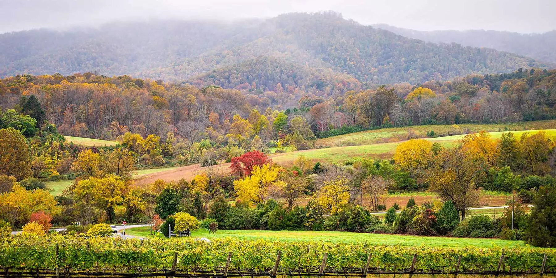 Charlottesville, Virginia Travel Guide: Mea'ai Sili, Tovine, Faletalimalo, Nofoaga Fa'asolopito, ma isi mea