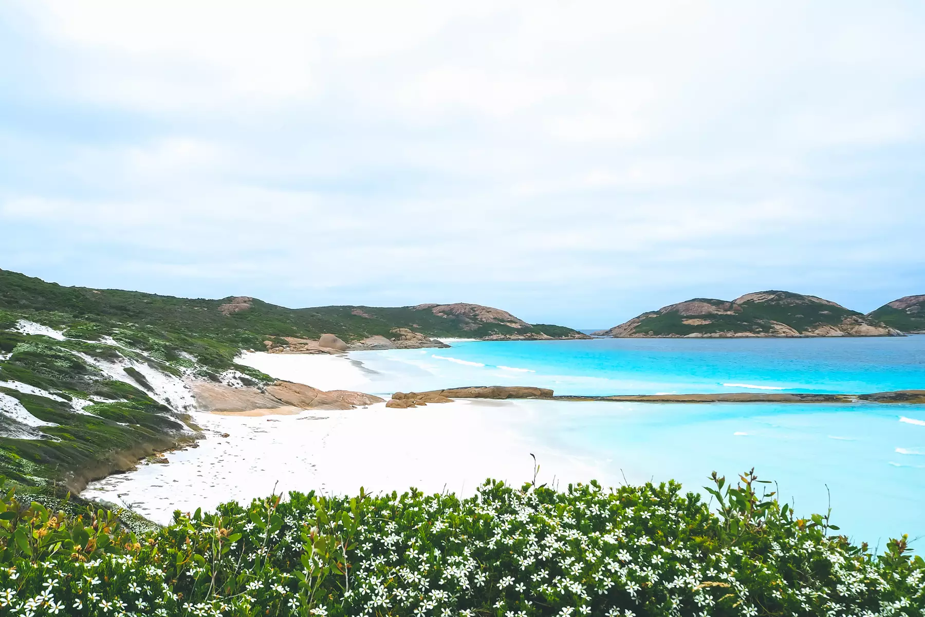 Turons verds ondulants amb petites flors blanques i aigua blava brillant a Esperance, Austràlia