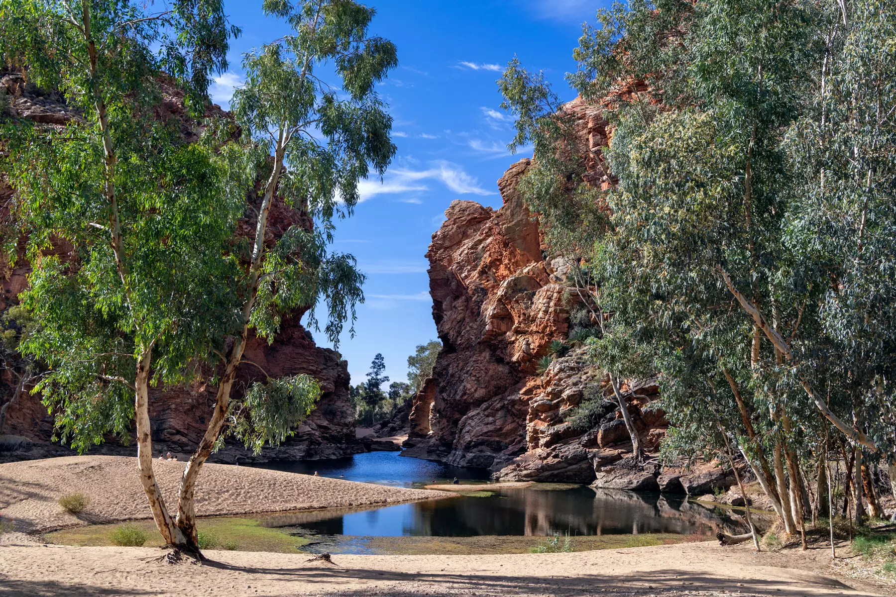 Oasis du désert dans un canyon rocheux avec des eucalyptus près d'Alice Springs, Territoire du Nord, Australie.