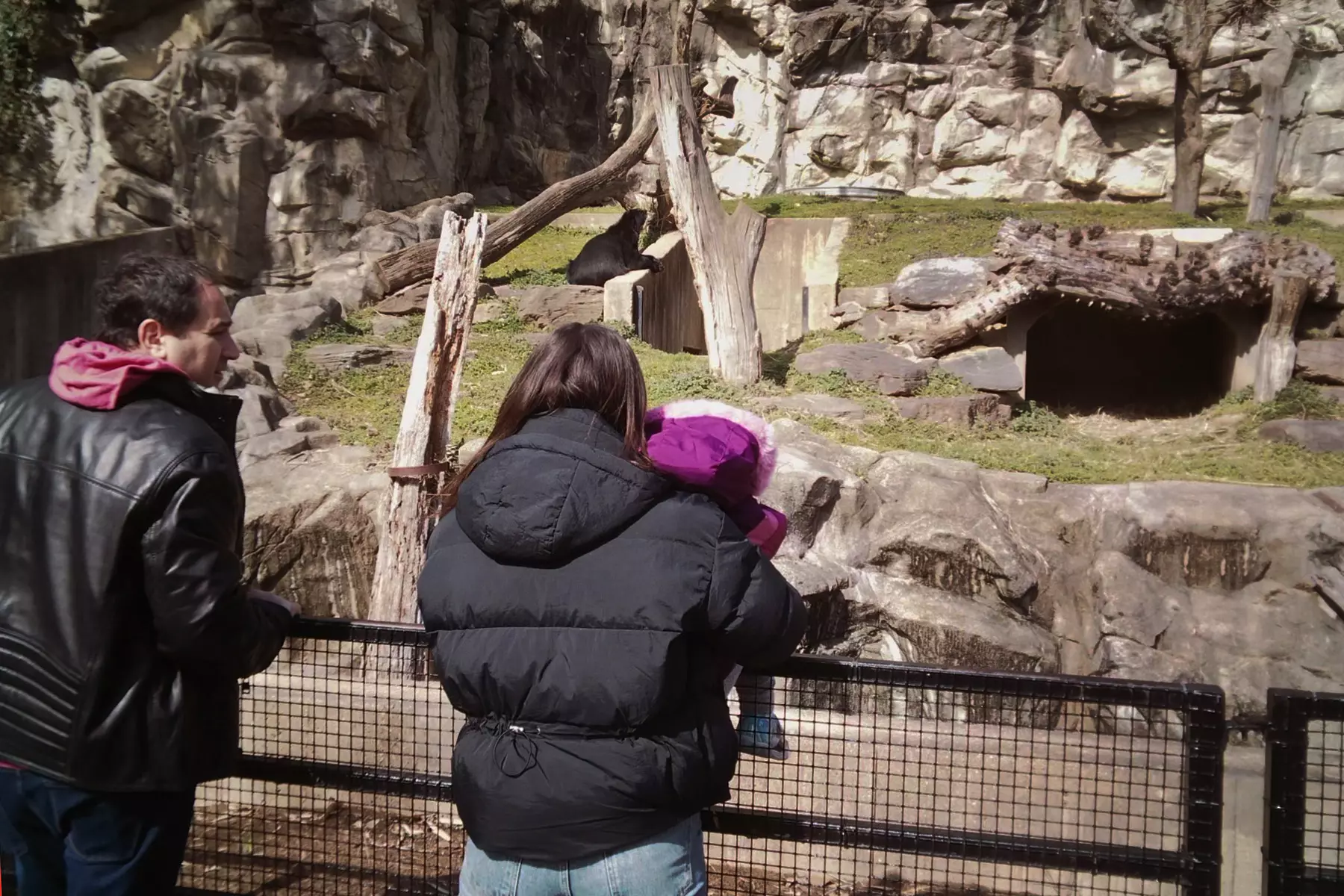 Návštevníci sa pozerajú na leňocha v Smithsonian National Zoo