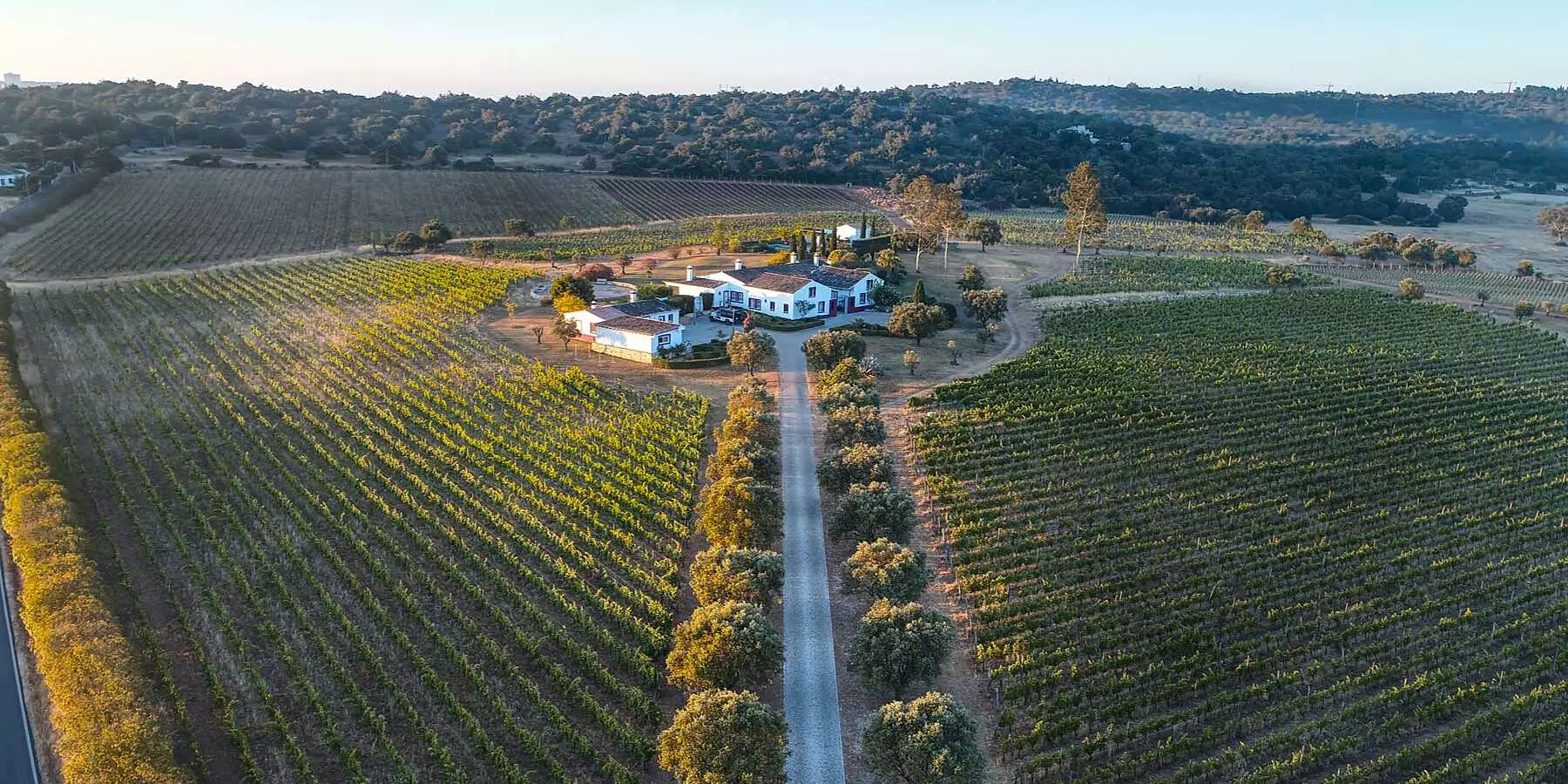 Nima uchun Portugaliyaning Algarve vino mintaqasi so'nggi yillarda gullab-yashnadi