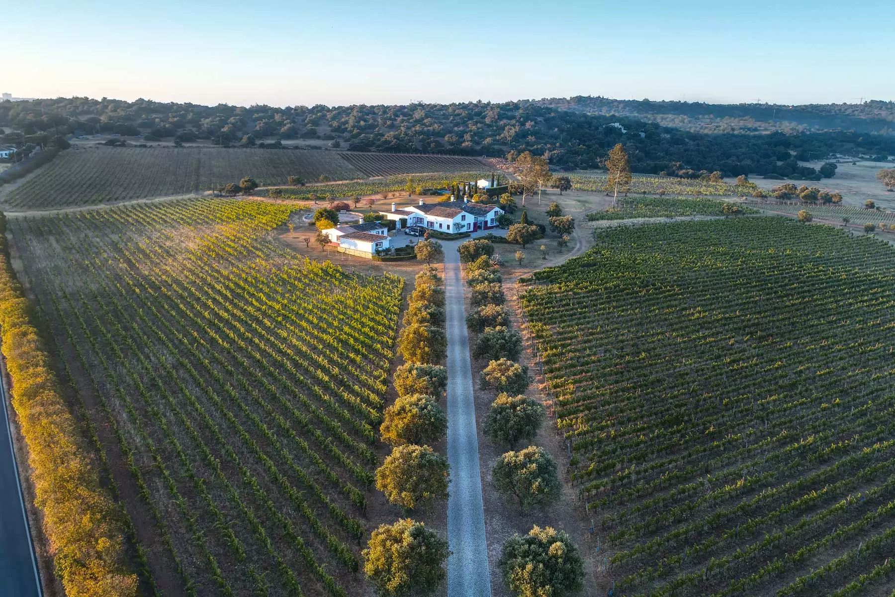 Vista aérea del viñedo Monte do Além en Algarve, Portugal