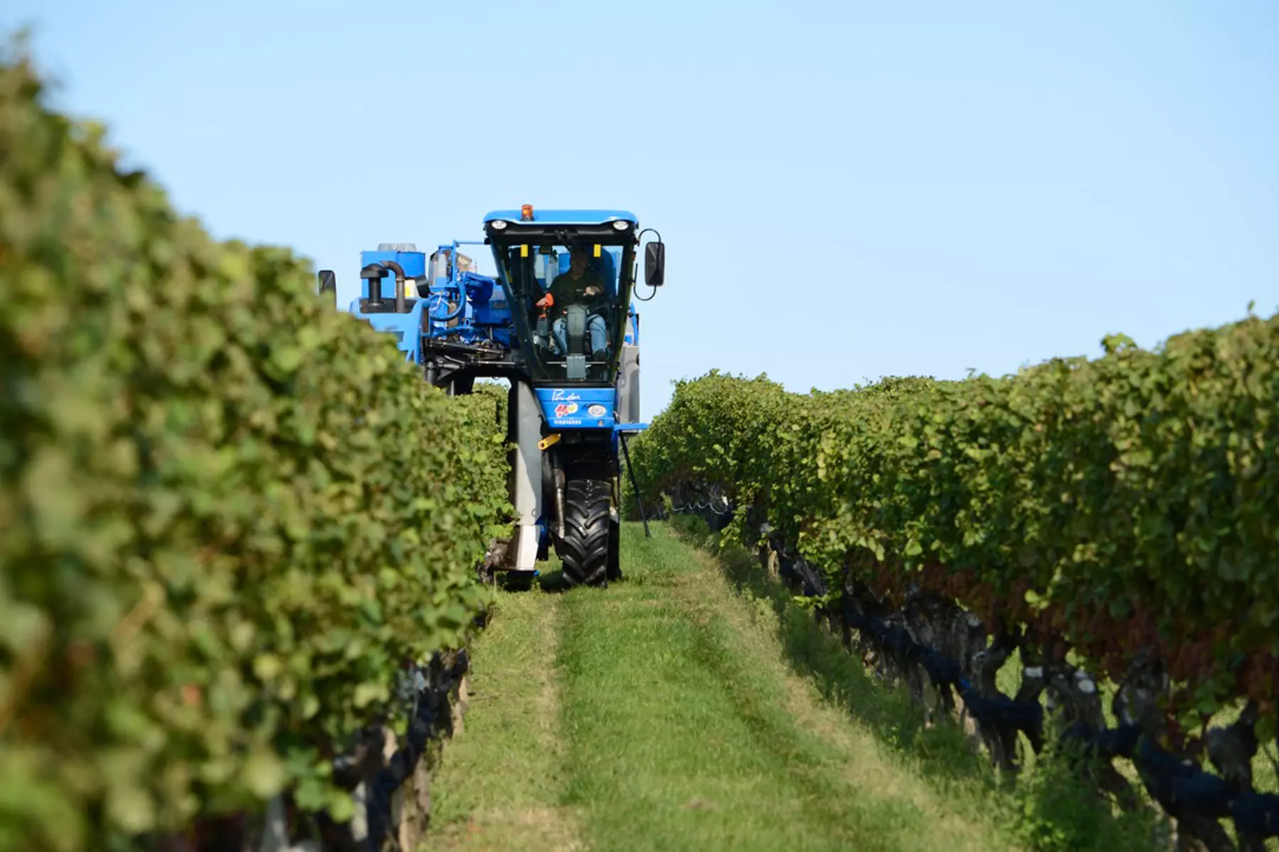 Pindar Vineyards in North Fork, Long Island