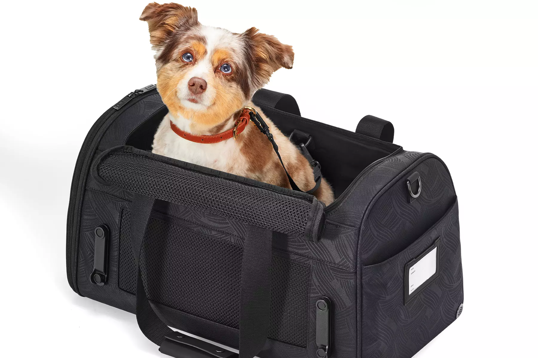 Away Pet Carrier