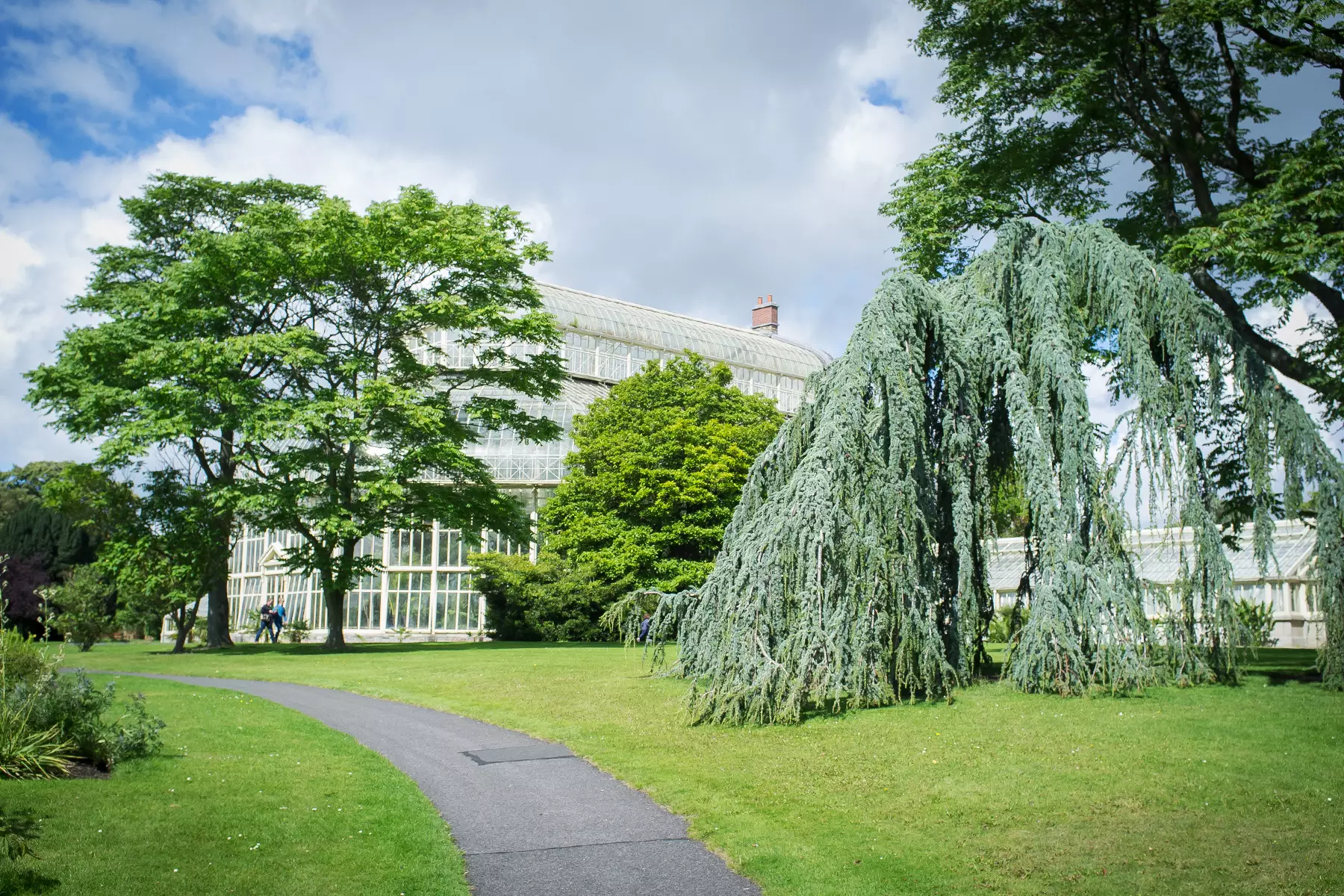 Ang isang glasshouse ay nakalarawan sa National Botanic Gardens sa Dublin,