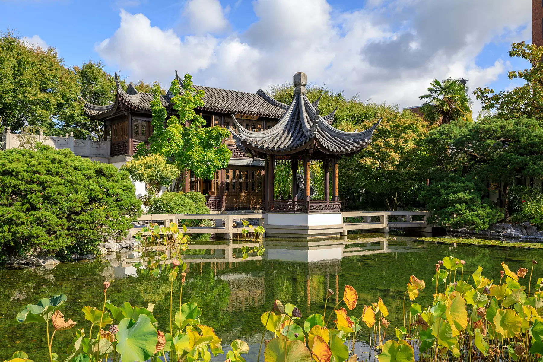 Pagode wat weerkaats in 'n dam by die Lan Su Chinese tuin, in Portland, OR