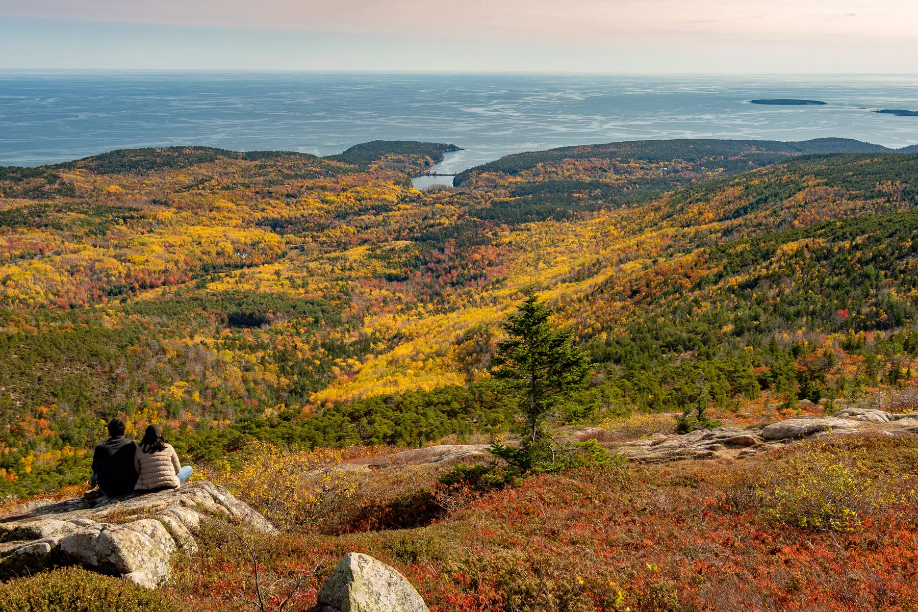 Mabatong baybayin na may mga dahon ng taglagas sa di kalayuan sa Acadia National Park