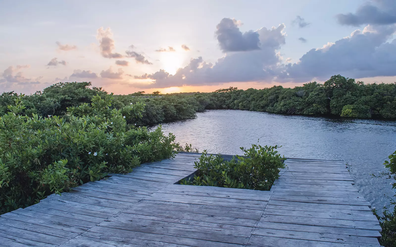 Glamping साइट मा Cenote