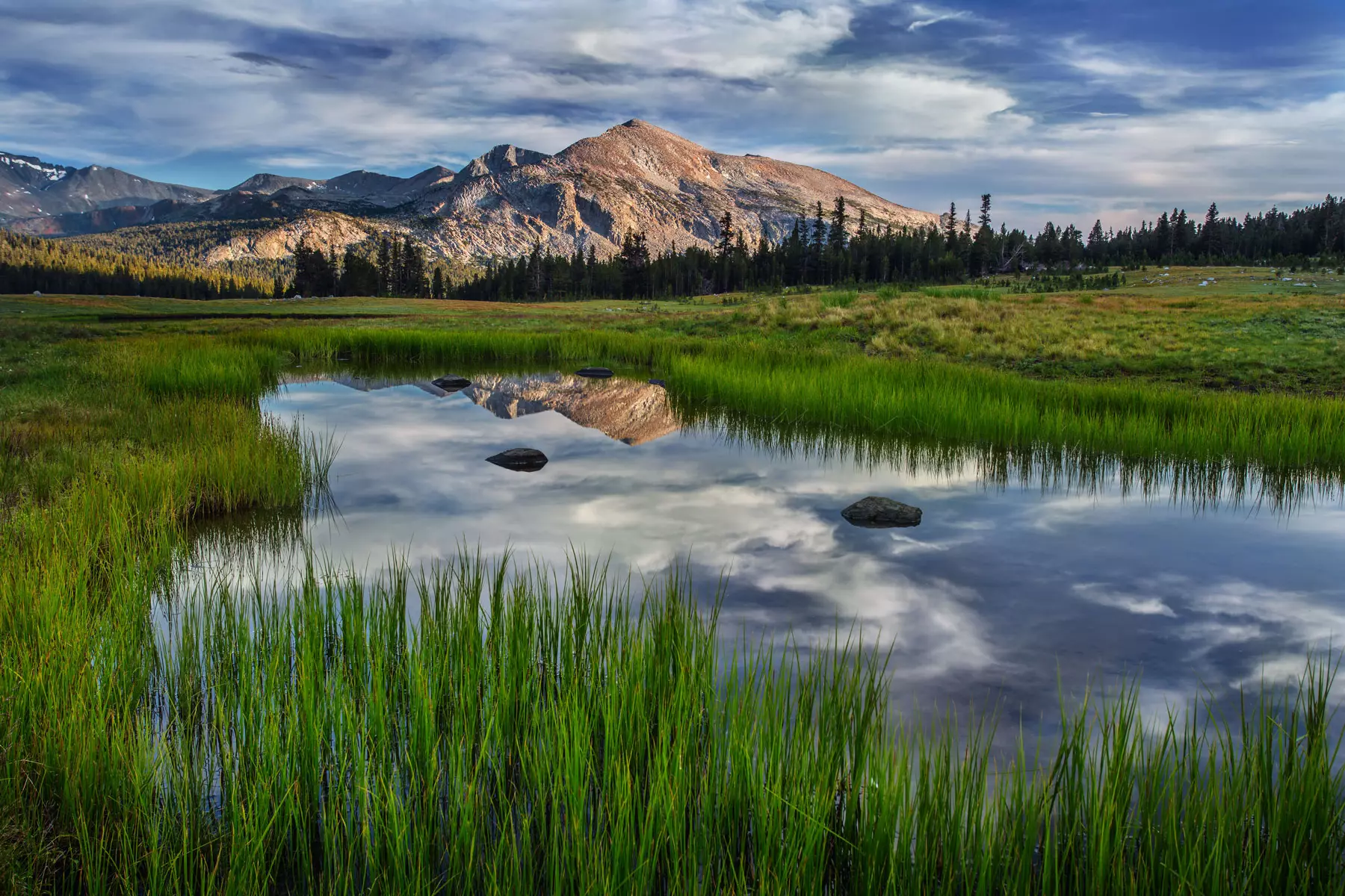 Yosemite's Dana Meadows හි Mammoth Peak