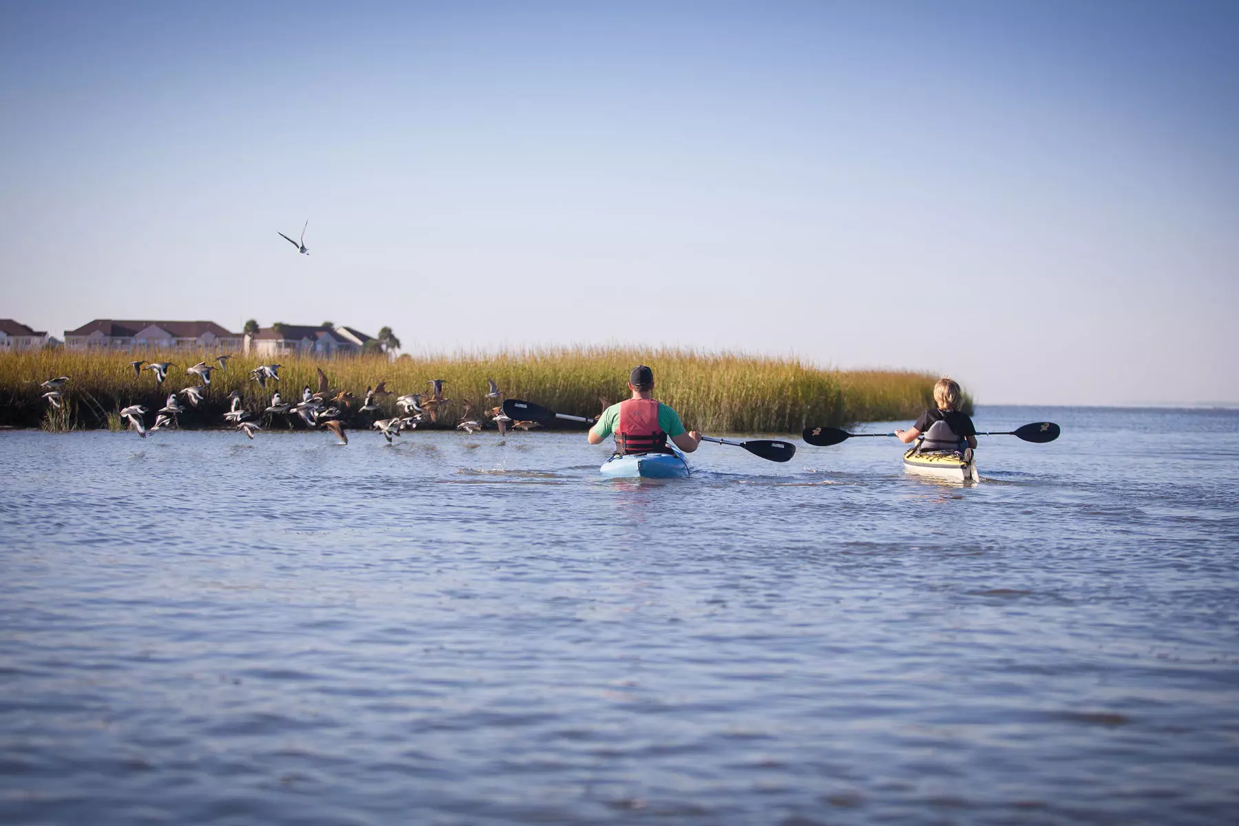 kayaker pa bay