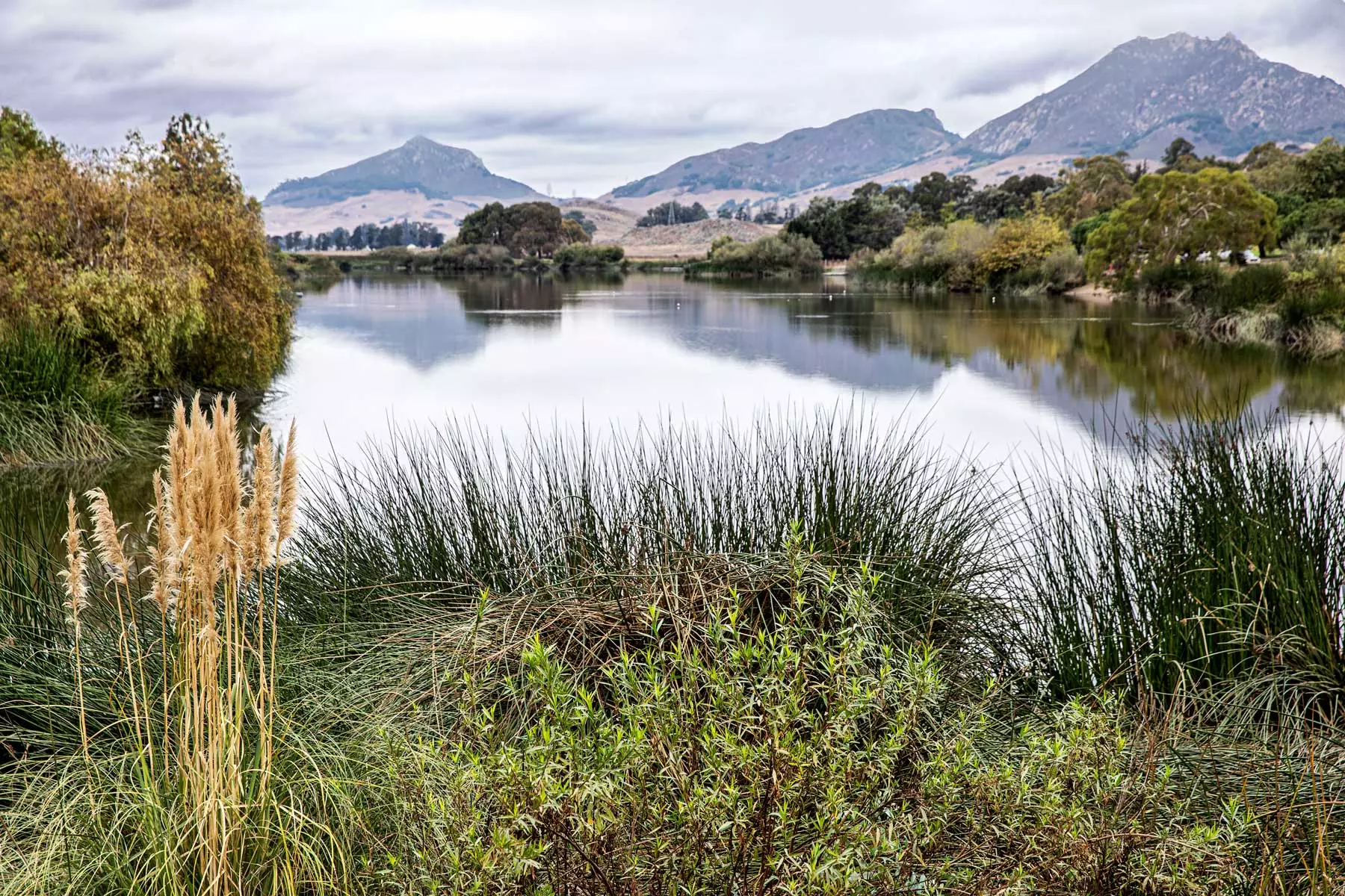 Tazama juu ya Ziwa la Laguna huko San Luis Obispo, California