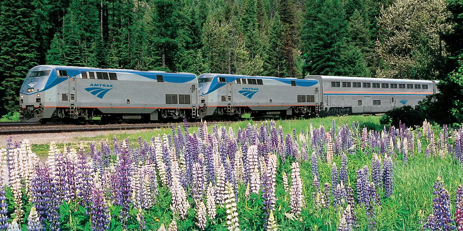 Amtrak-ның соңгы сатуы 1 бәягә 2 шәхси бүлмә билетлары тәкъдим итә