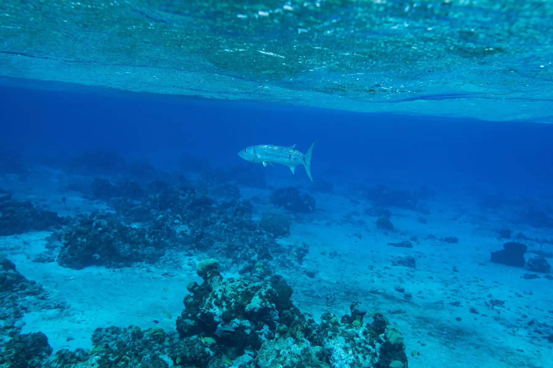 Bentang pantai, sagara sareng villa di Turks sareng Caicos salami Covid-19