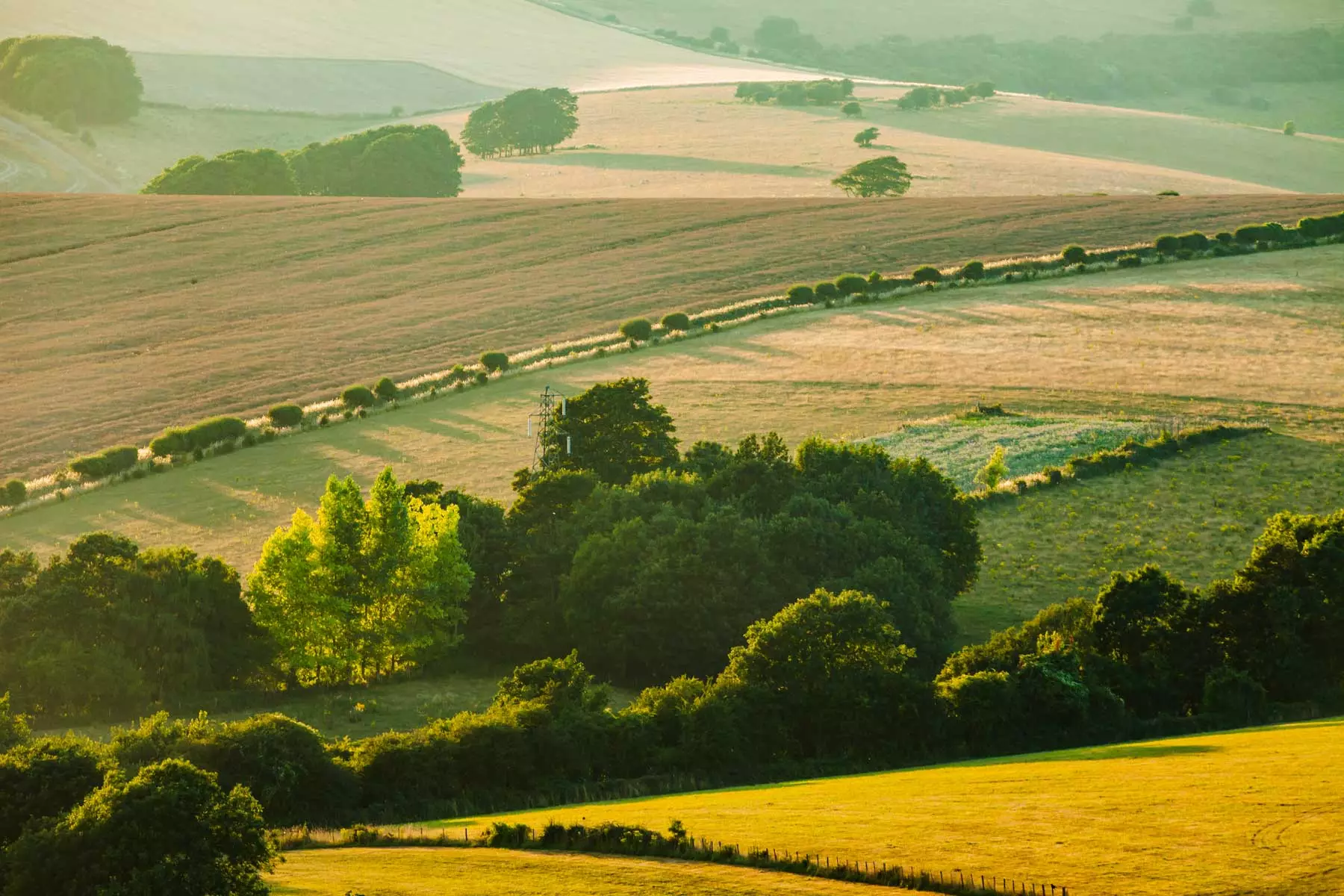 Summer malem di South Downs Taman Nasional.