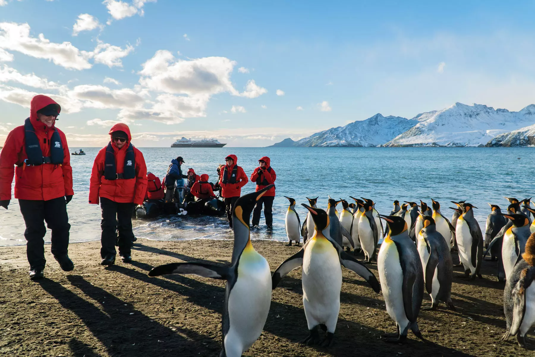 hóspedes de cruceiro vendo pingüíns na Antártida