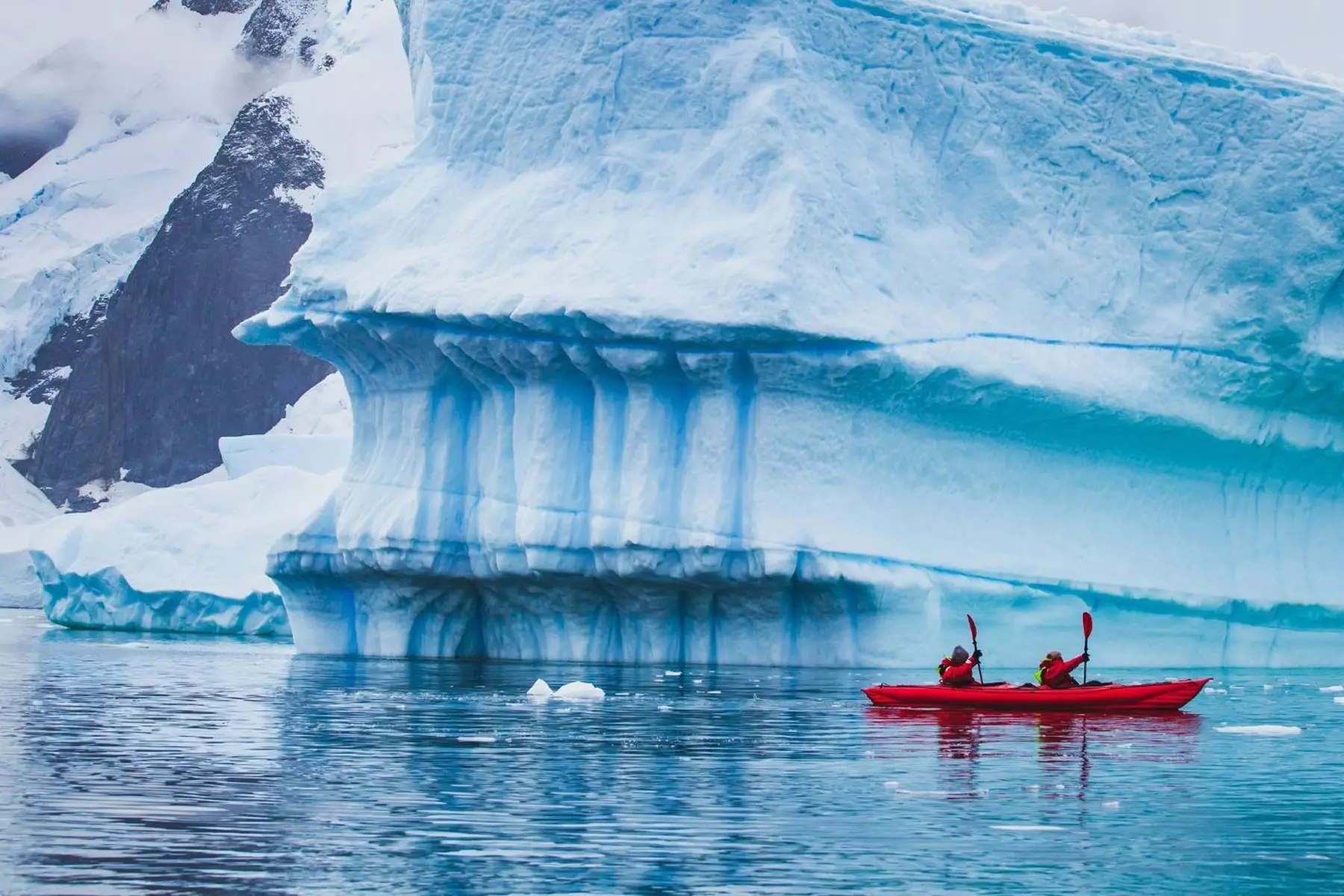 انٽارڪيڪا ۾ kayakers