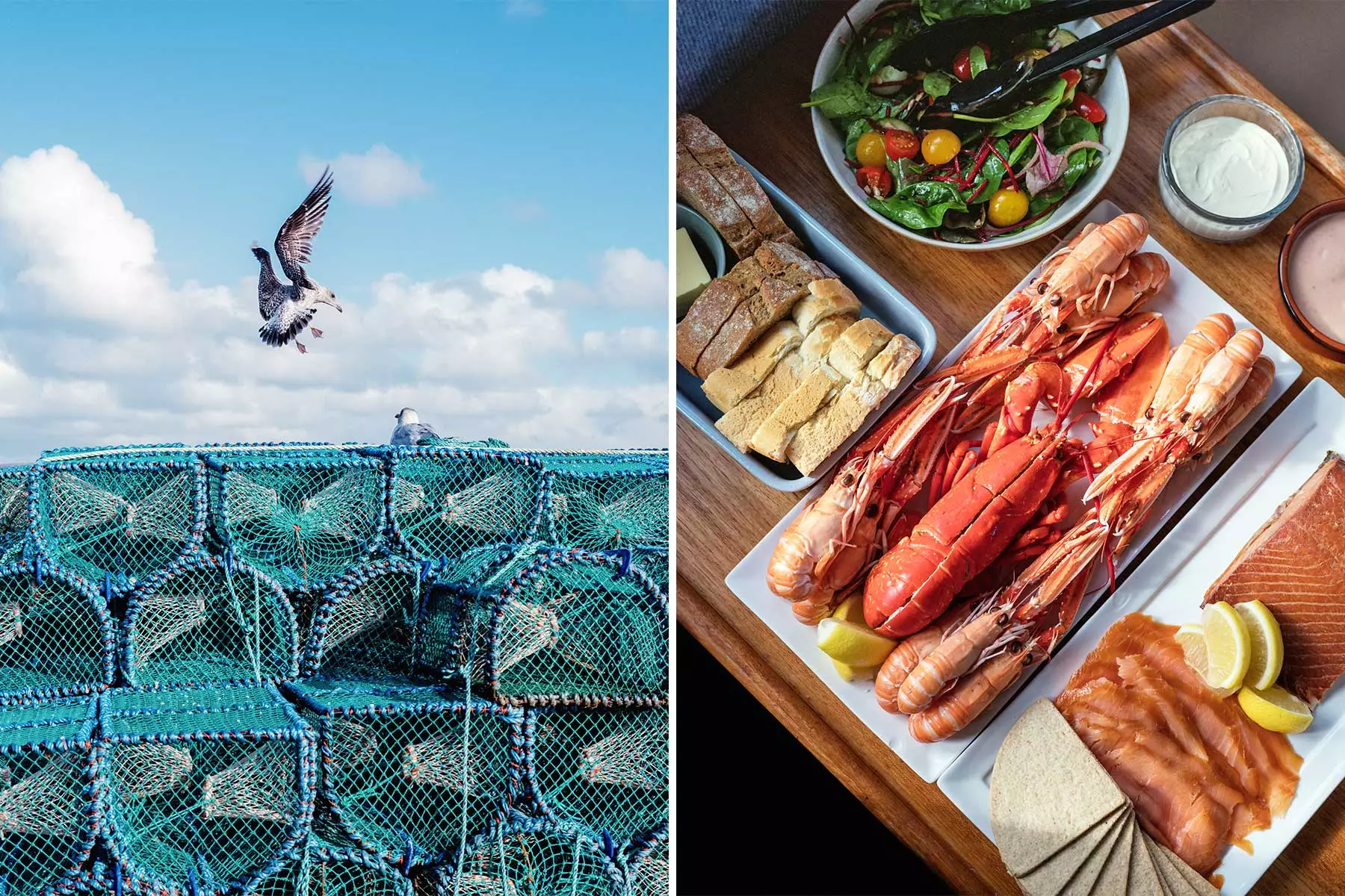 Par de fotos que muestran una gaviota volando sobre trampas y un almuerzo de mariscos, ambos a bordo del catamarán Seaflower cerca de la Isla de Skye